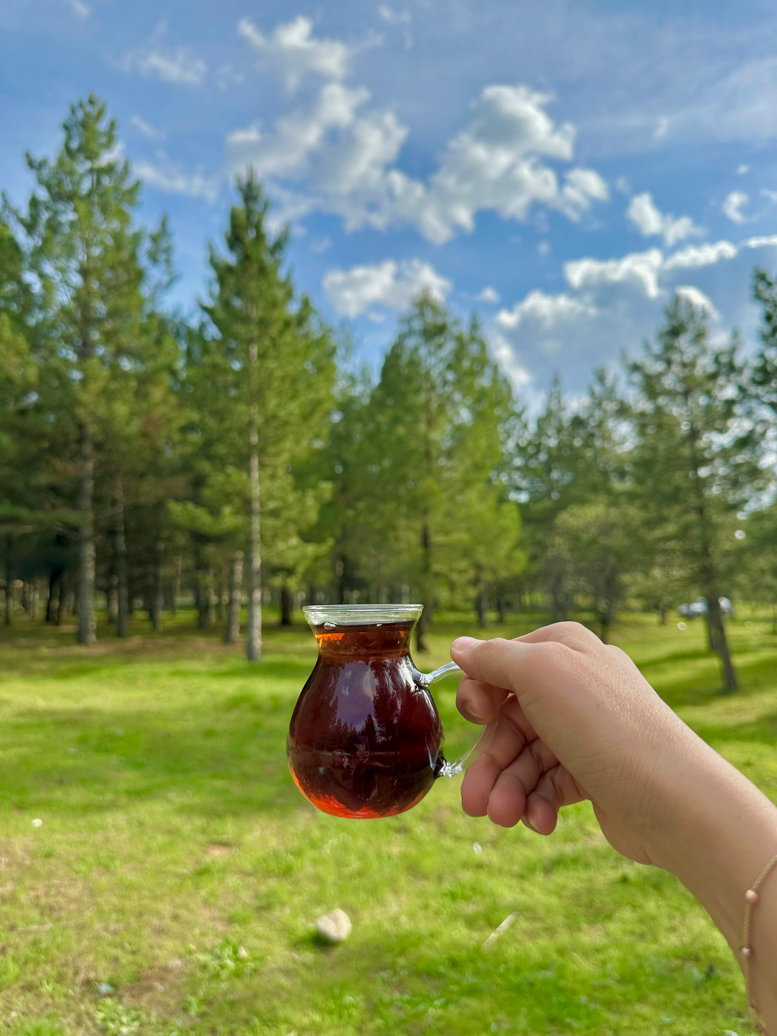 Sip 색칠공부 Photos, Download The BEST Free Sip 색칠공부 Stock Photos & HD Images