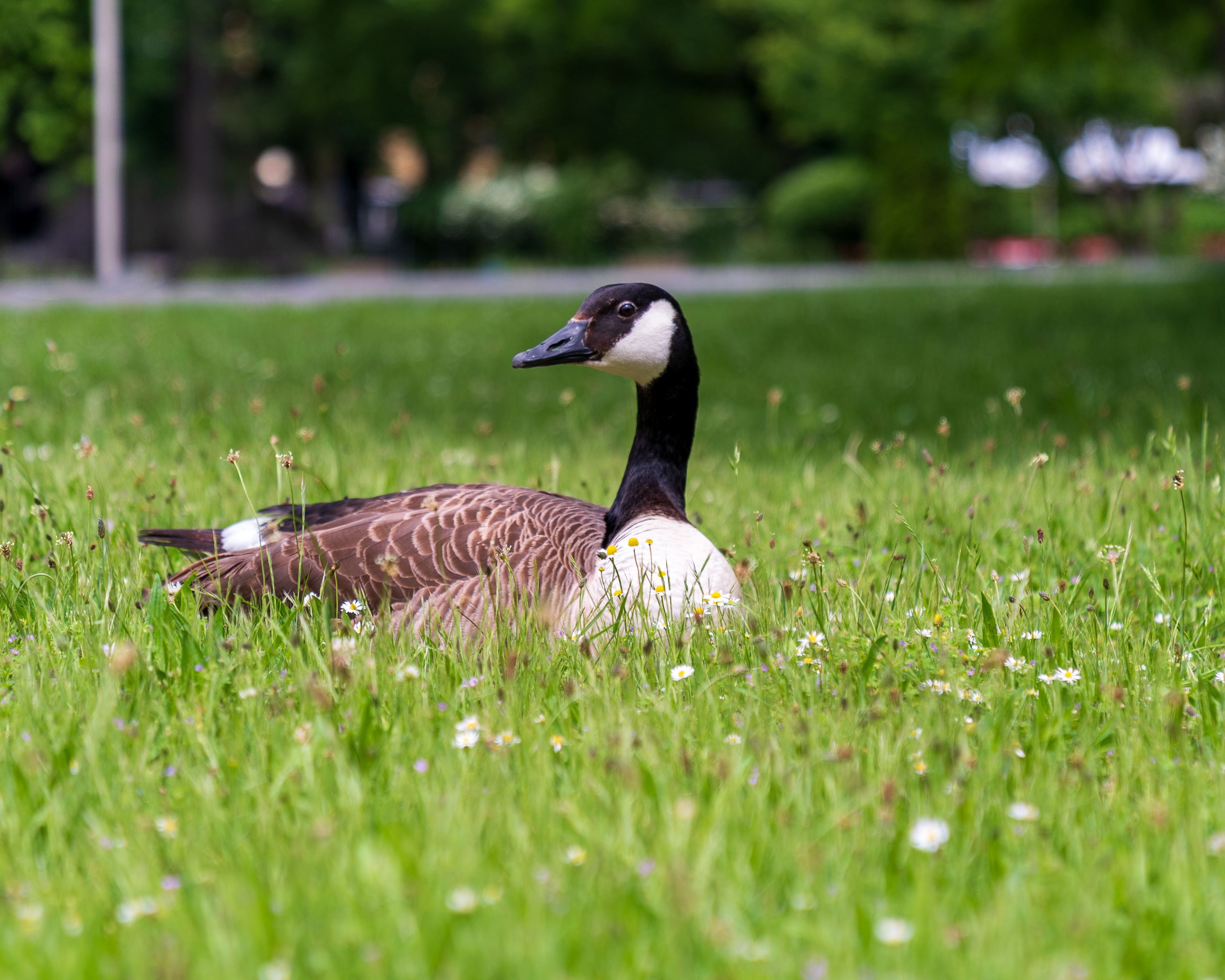 Biodiversity Ecosystem Photos, Download The BEST Free Biodiversity ...
