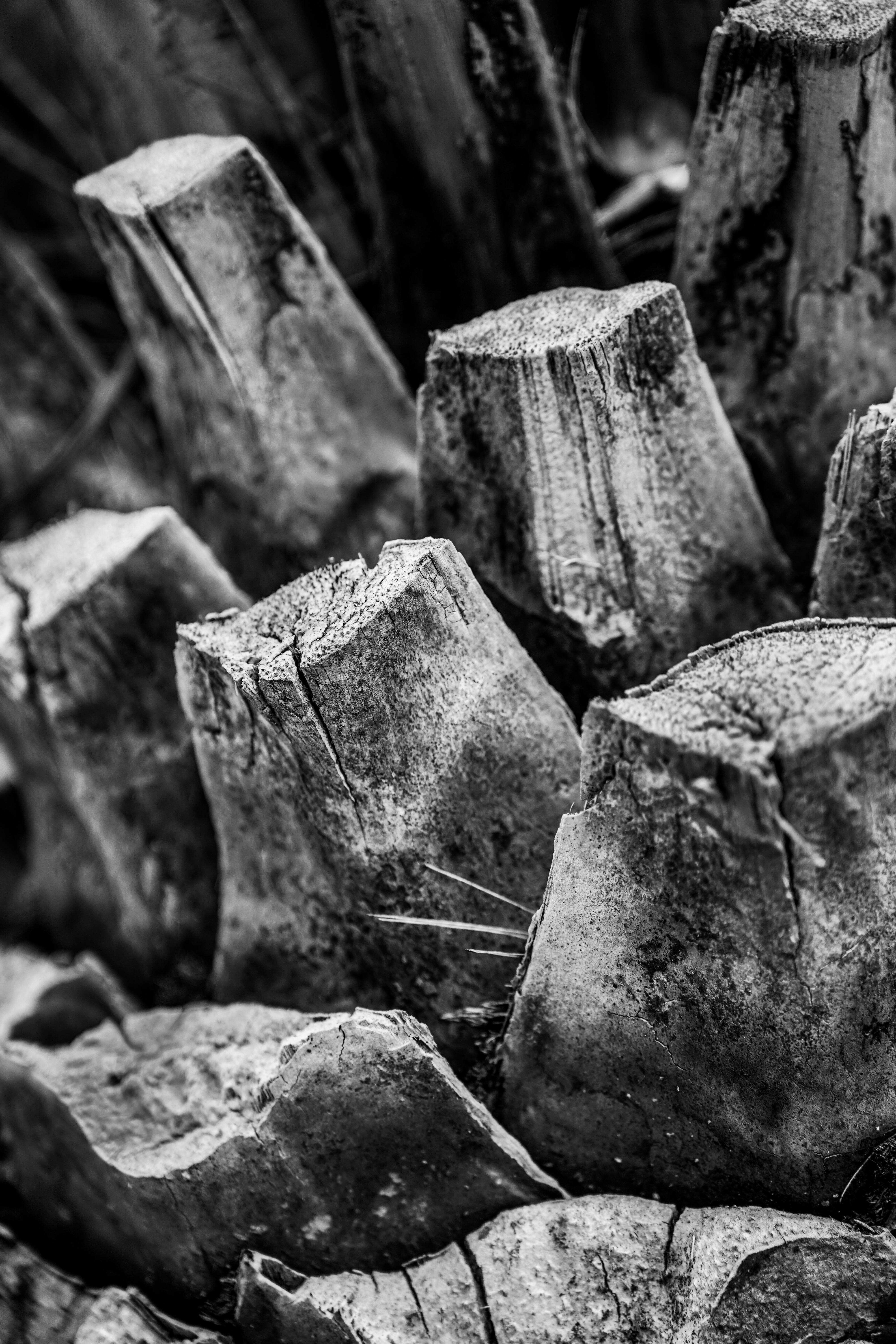 Topo Background Photos, Download The BEST Free Topo Background Stock ...