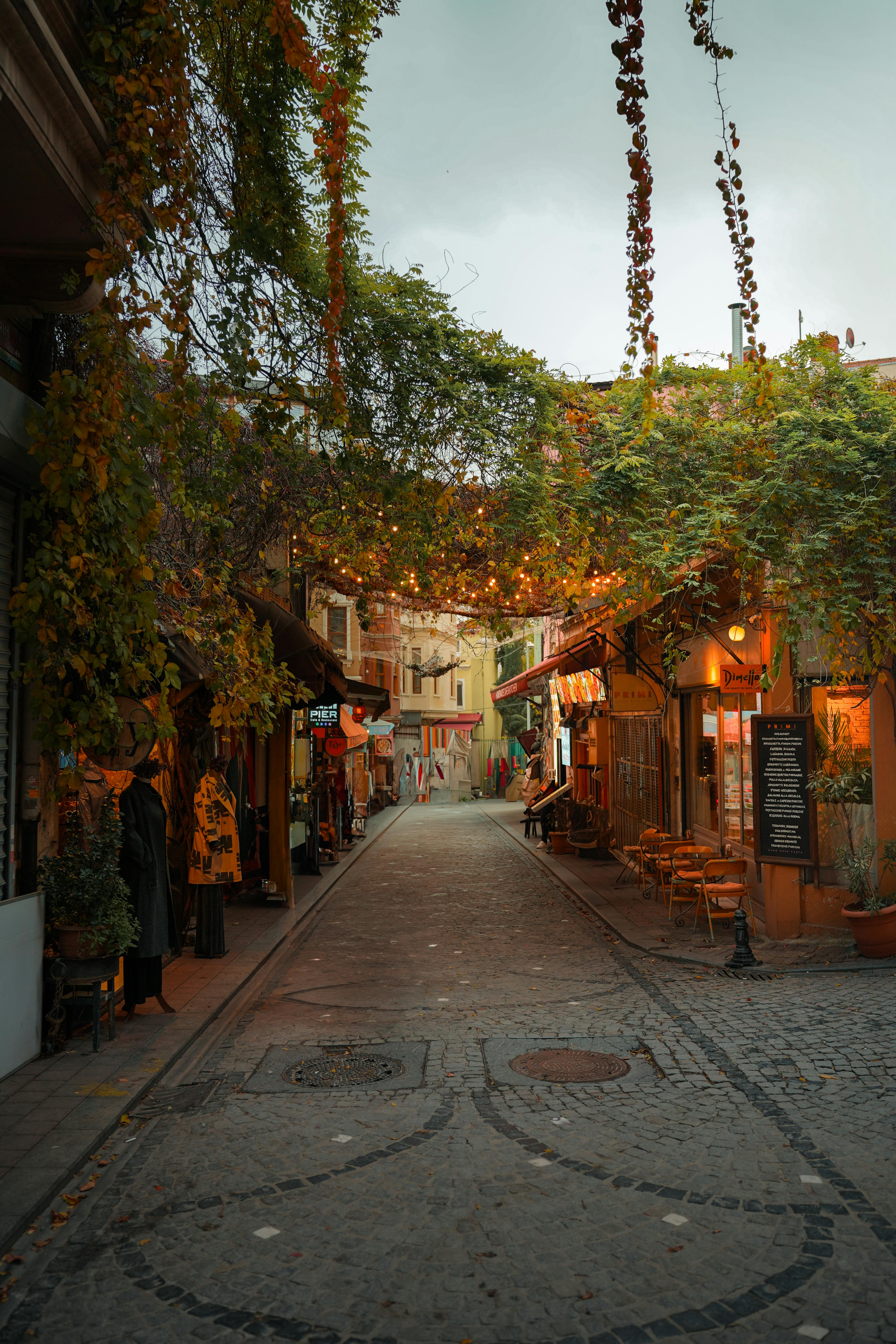 Charming Istanbul Alleyway with Cafe Lights · Free Stock Photo