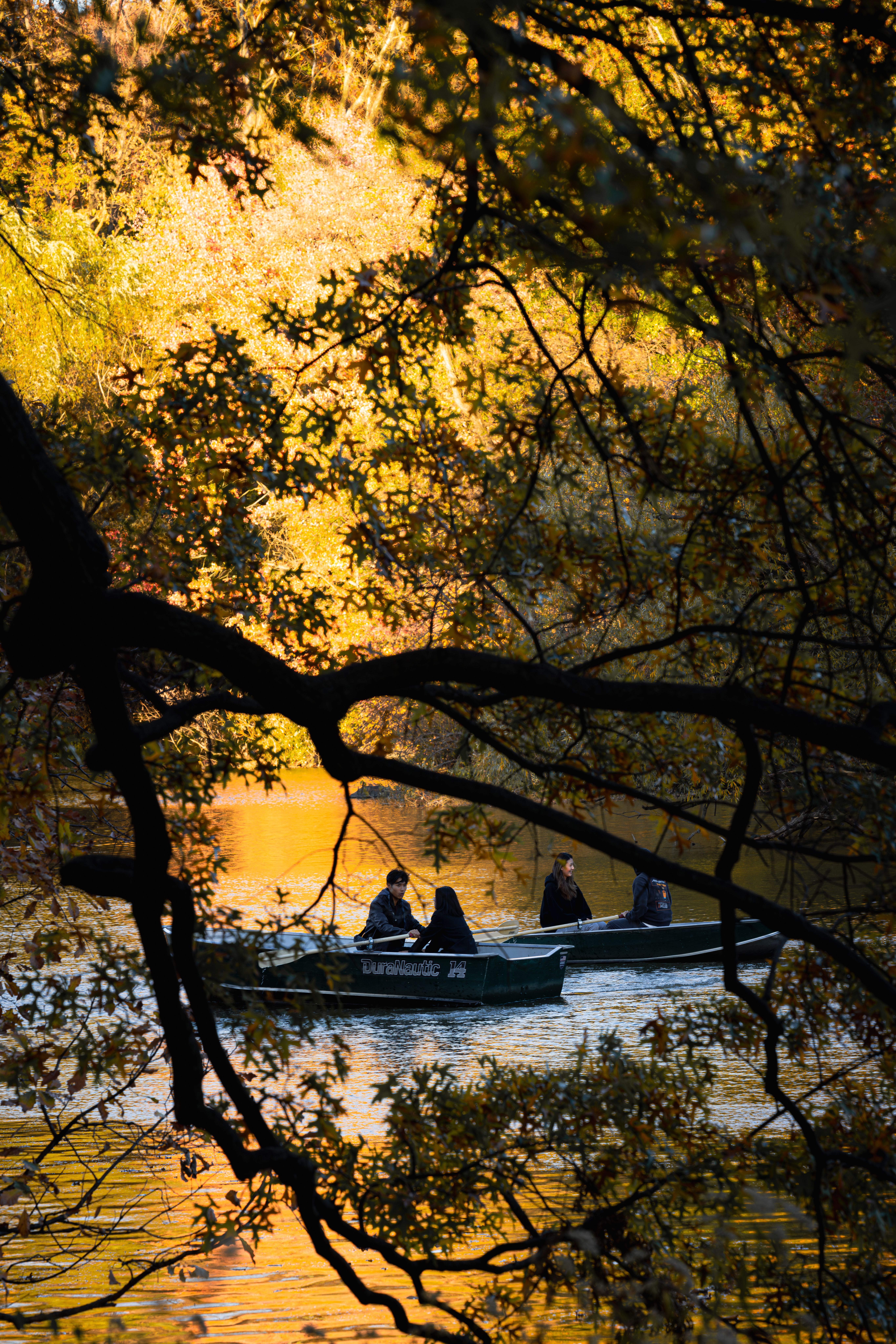 Serene Autumn Boat Ride Through Golden Foliage · Free Stock Photo
