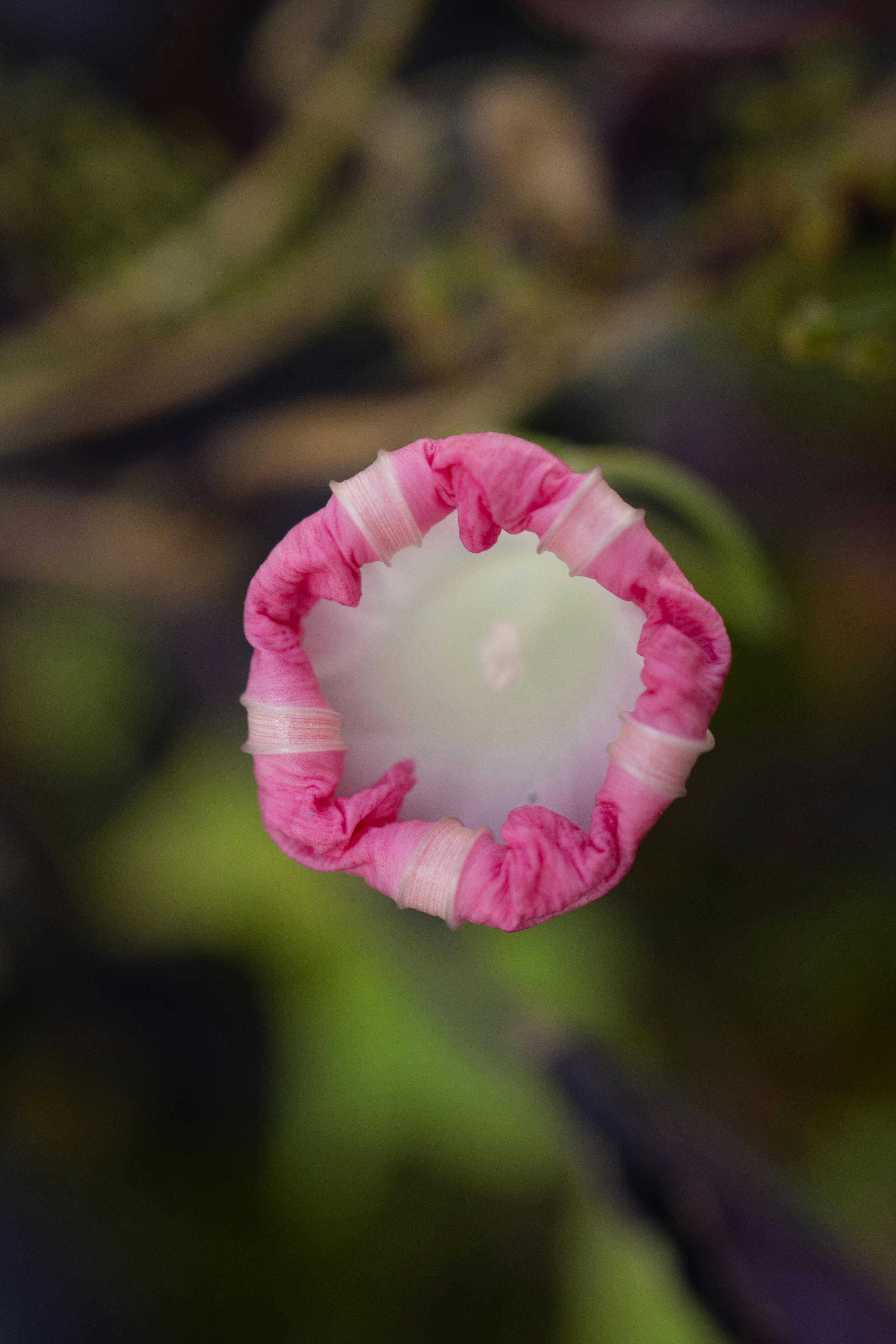 Good+Cold+Monday+Morning+Images Photos, Download The BEST Free Good ...