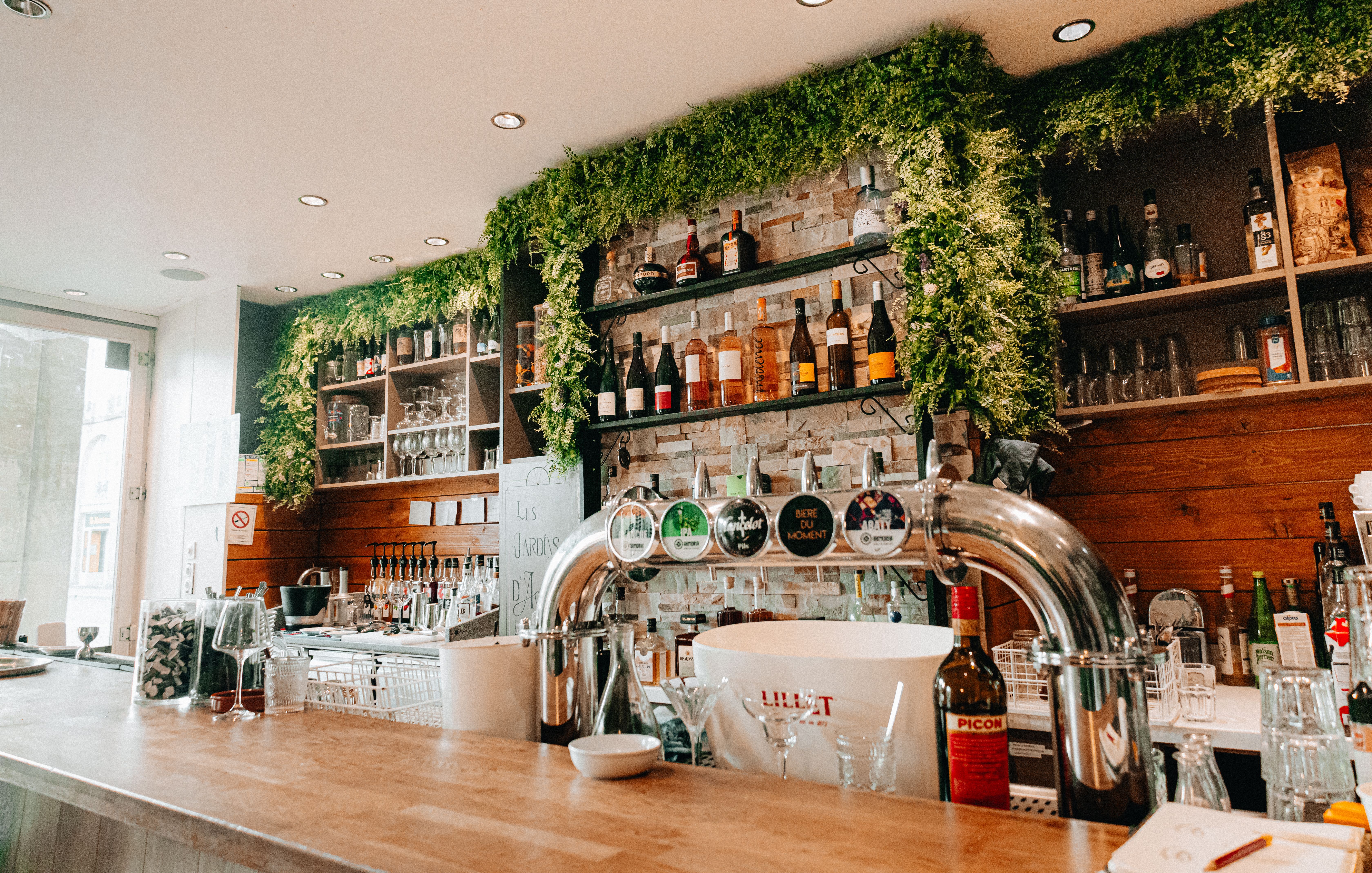 Trendy Bar Interior with Greenery and Bottles · Free Stock Photo
