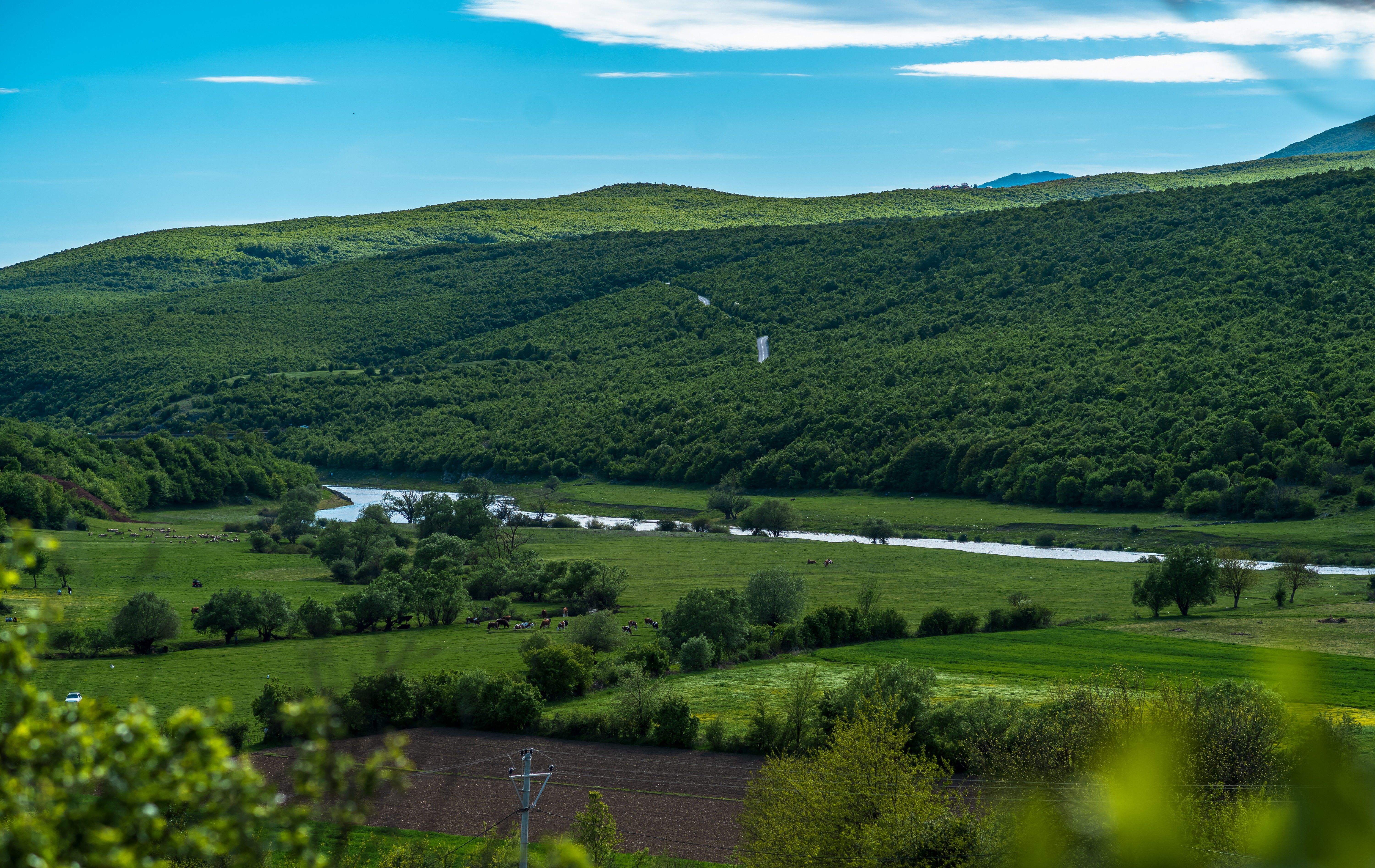 Scenic View of Green Landscape in Kosovo · Free Stock Photo