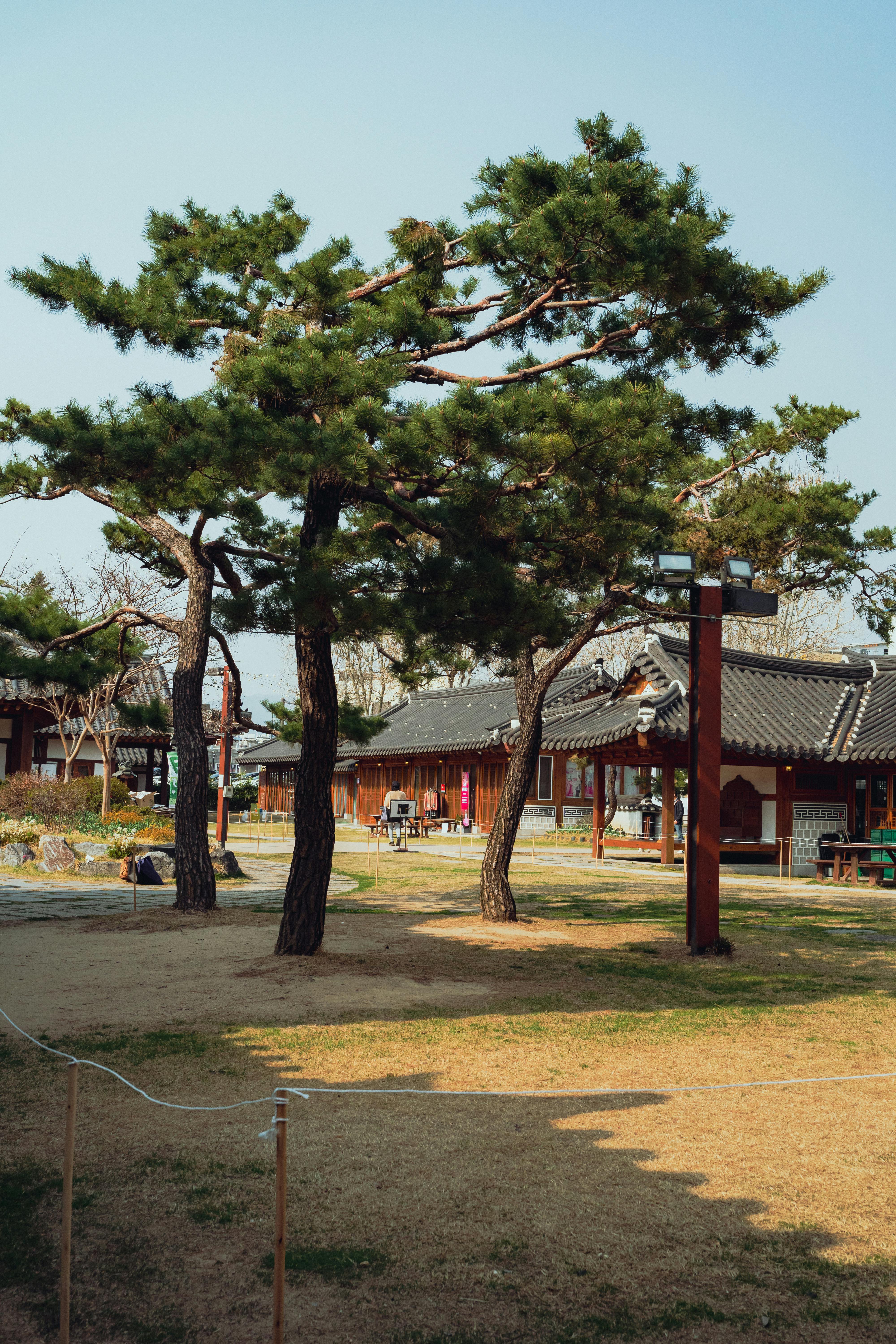 Si+Montok+Bokep+Jepang+Crot Photos, Download The BEST Free Si+Montok+Bokep+Jepang+Crot Stock ...