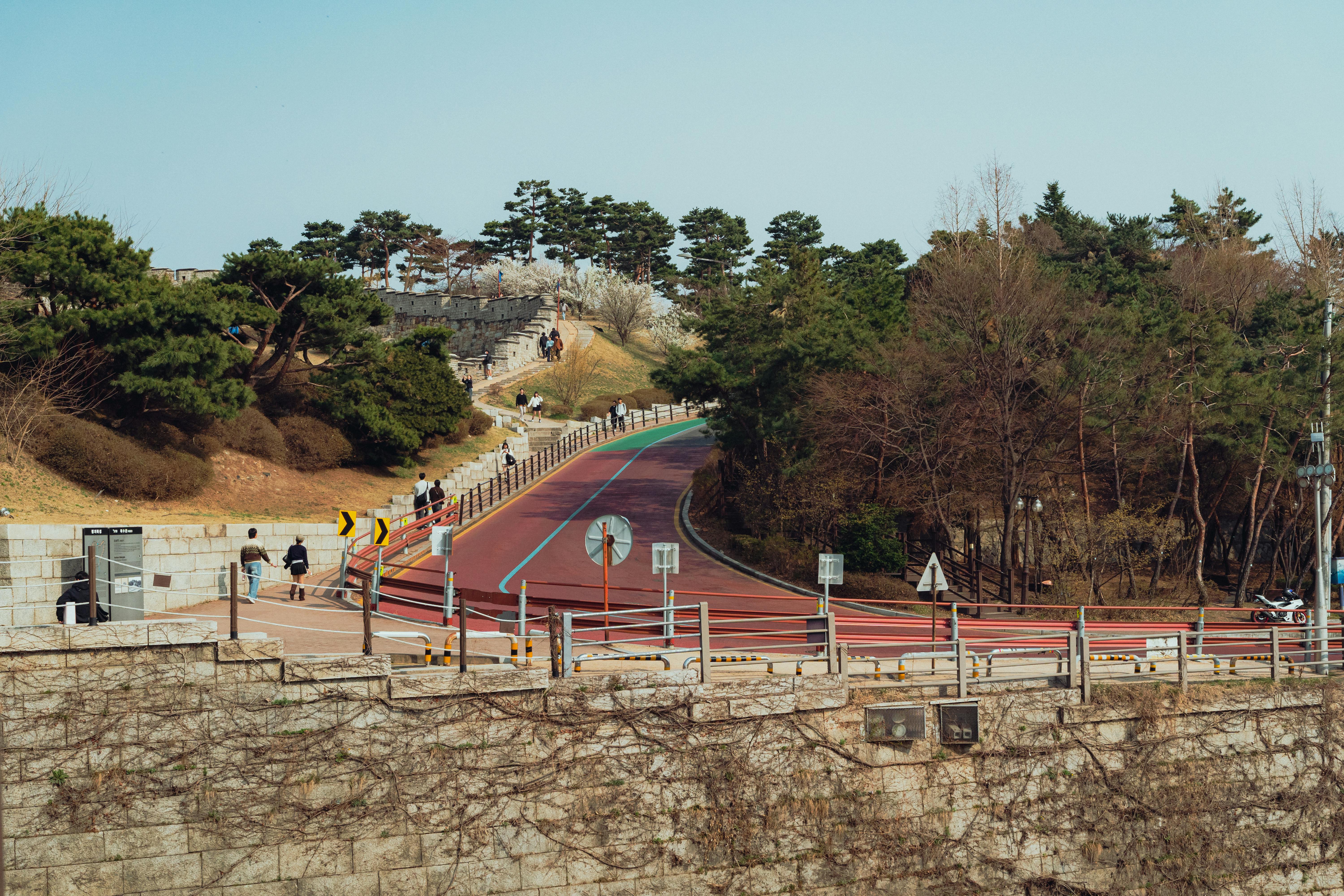 Scenic Pathway in Suwon-si during Spring · Free Stock Photo