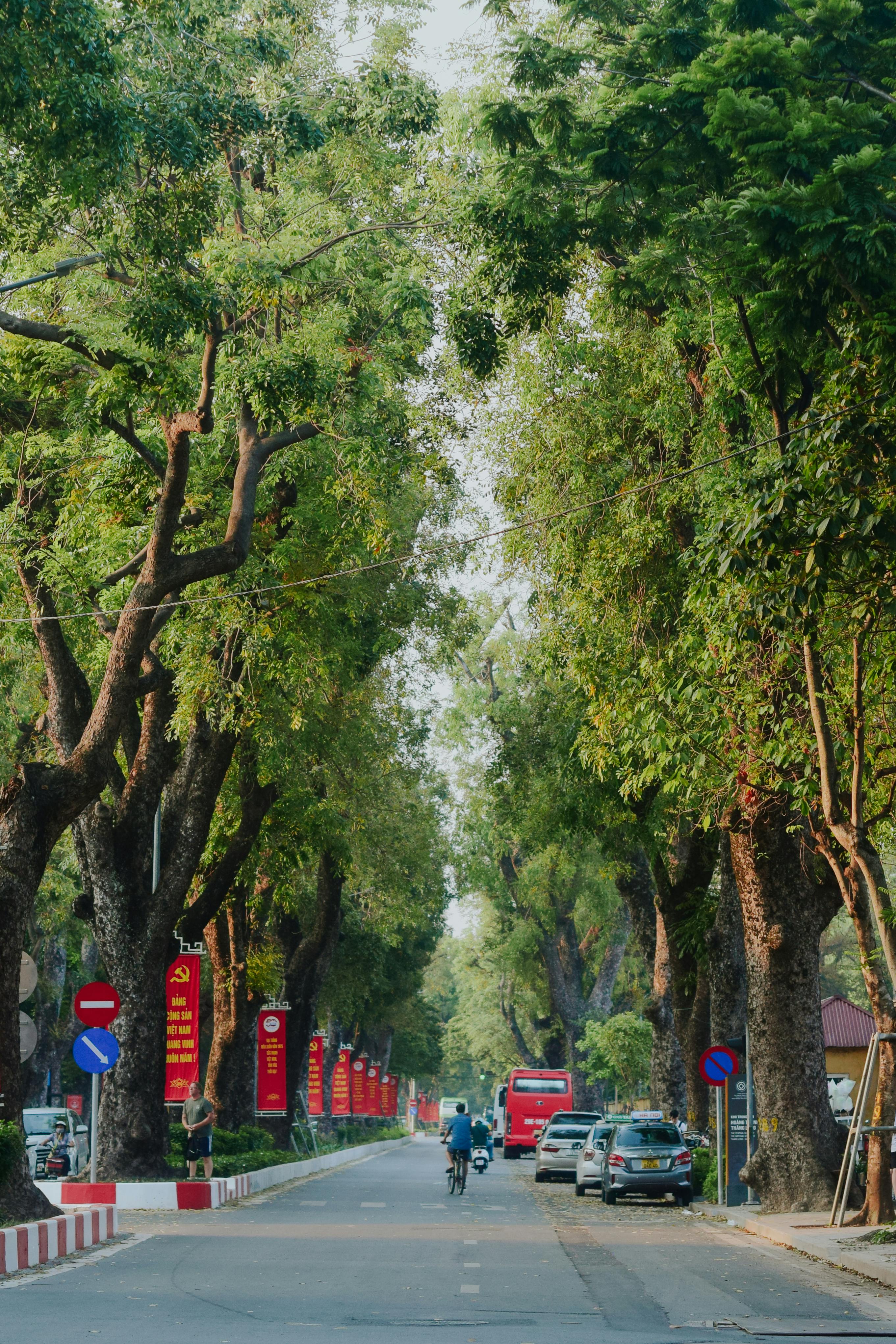 Shade Photos, Download The BEST Free Shade Stock Photos & HD Images