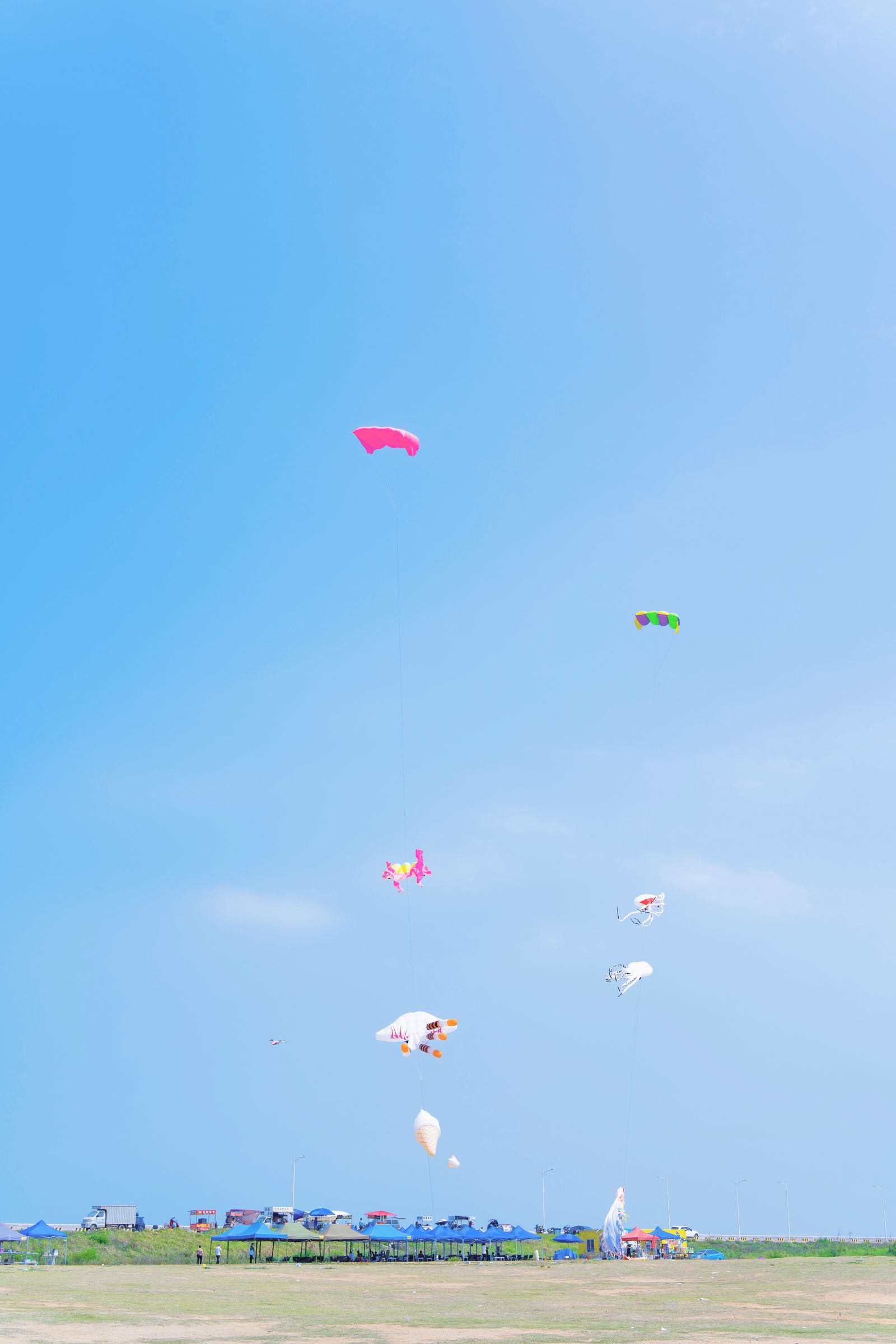 Kite Images Photos, Download The BEST Free Kite Images Stock Photos ...