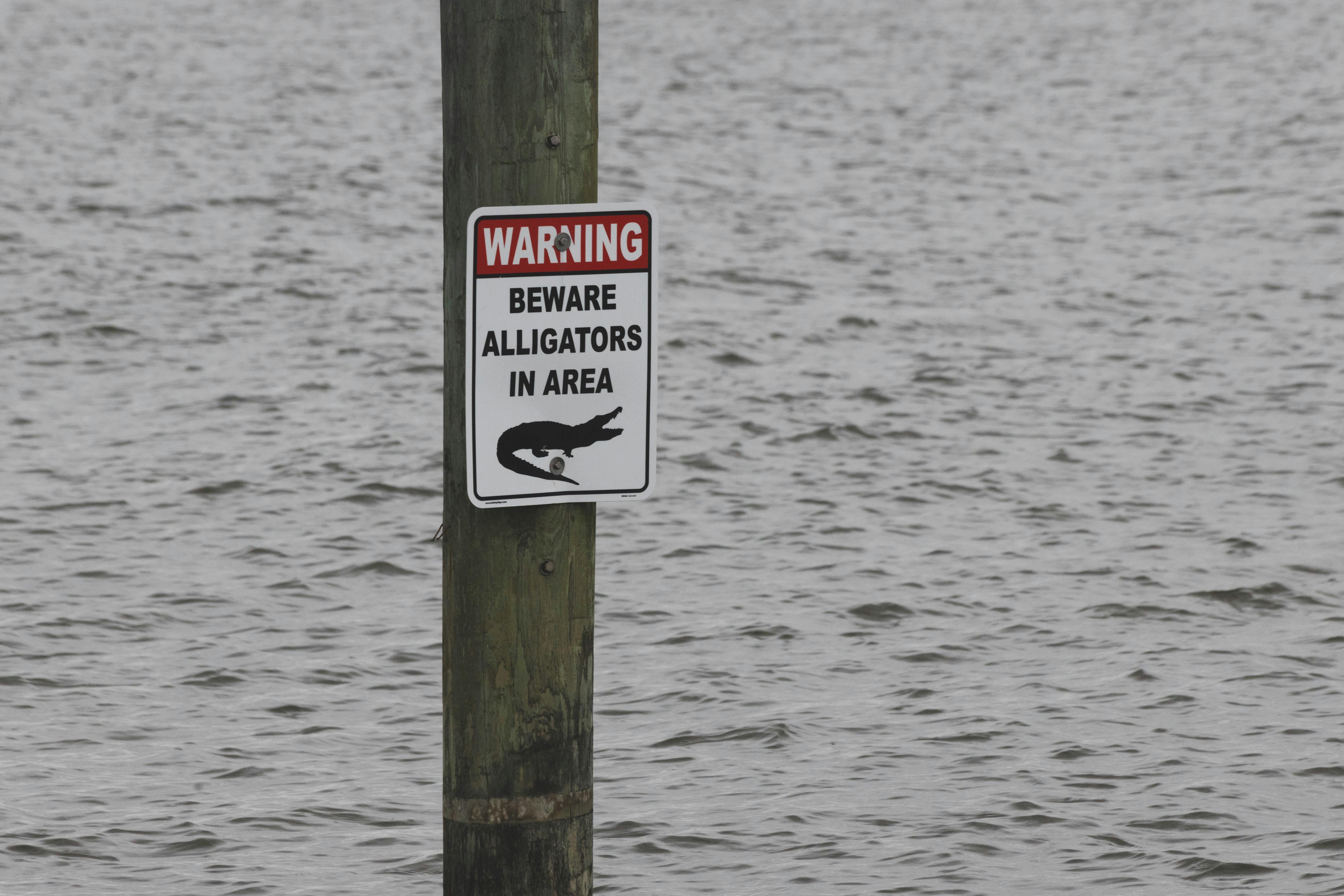 Lakeshore Park Photos, Download The BEST Free Lakeshore Park Stock ...