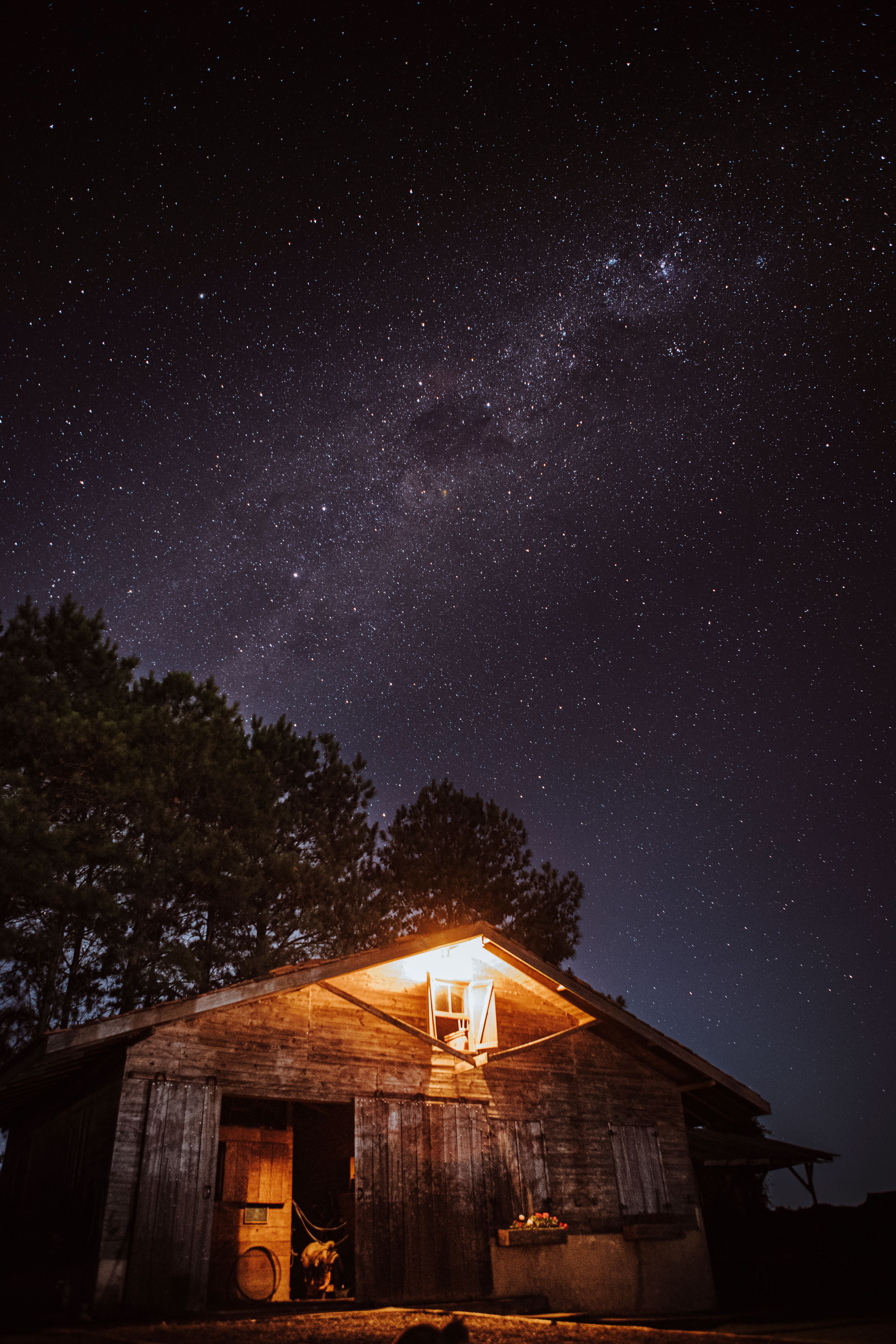 Starry Night Above Rustic Cabin in Forest · Free Stock Photo