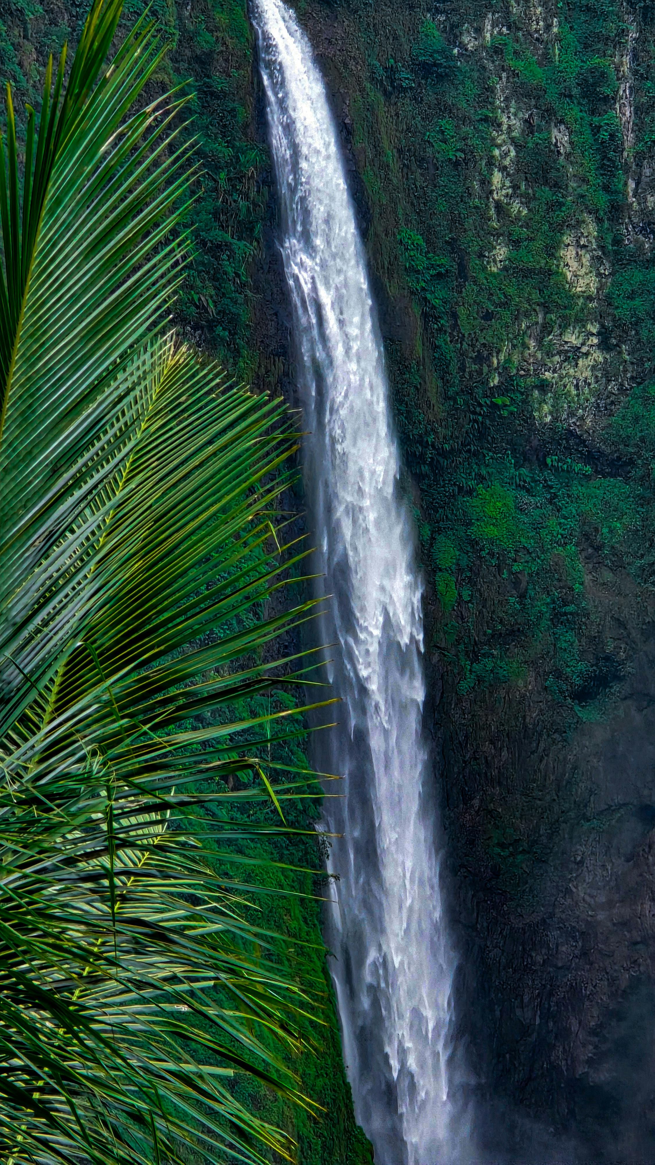 Mating+Press+Example+Photo Photos, Download The BEST Free Mating+Press ...