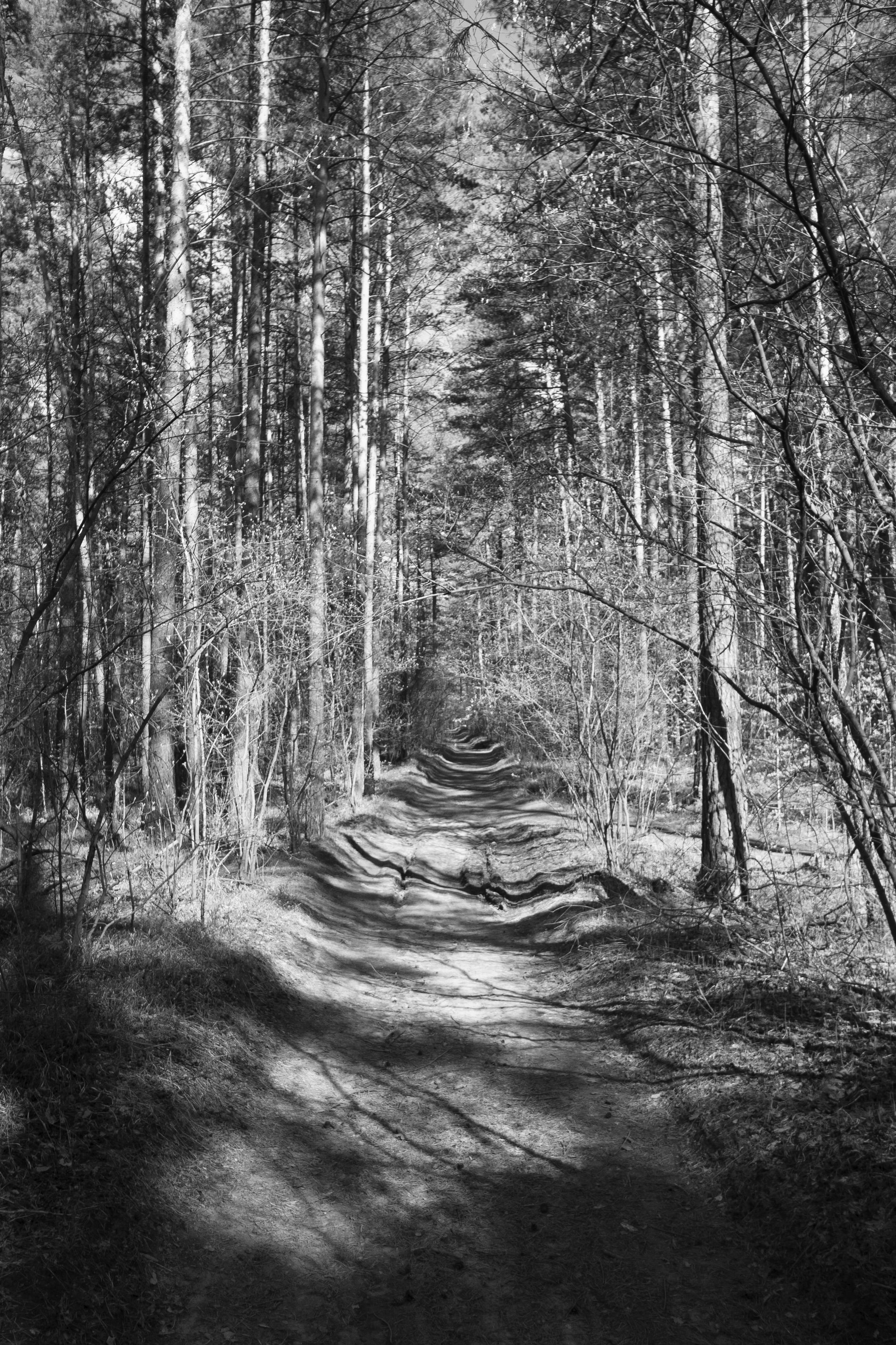 60.000+ Foto Wallpaper Linux Terbaik · Unduh Gratis 100% · Foto Stok Pexels