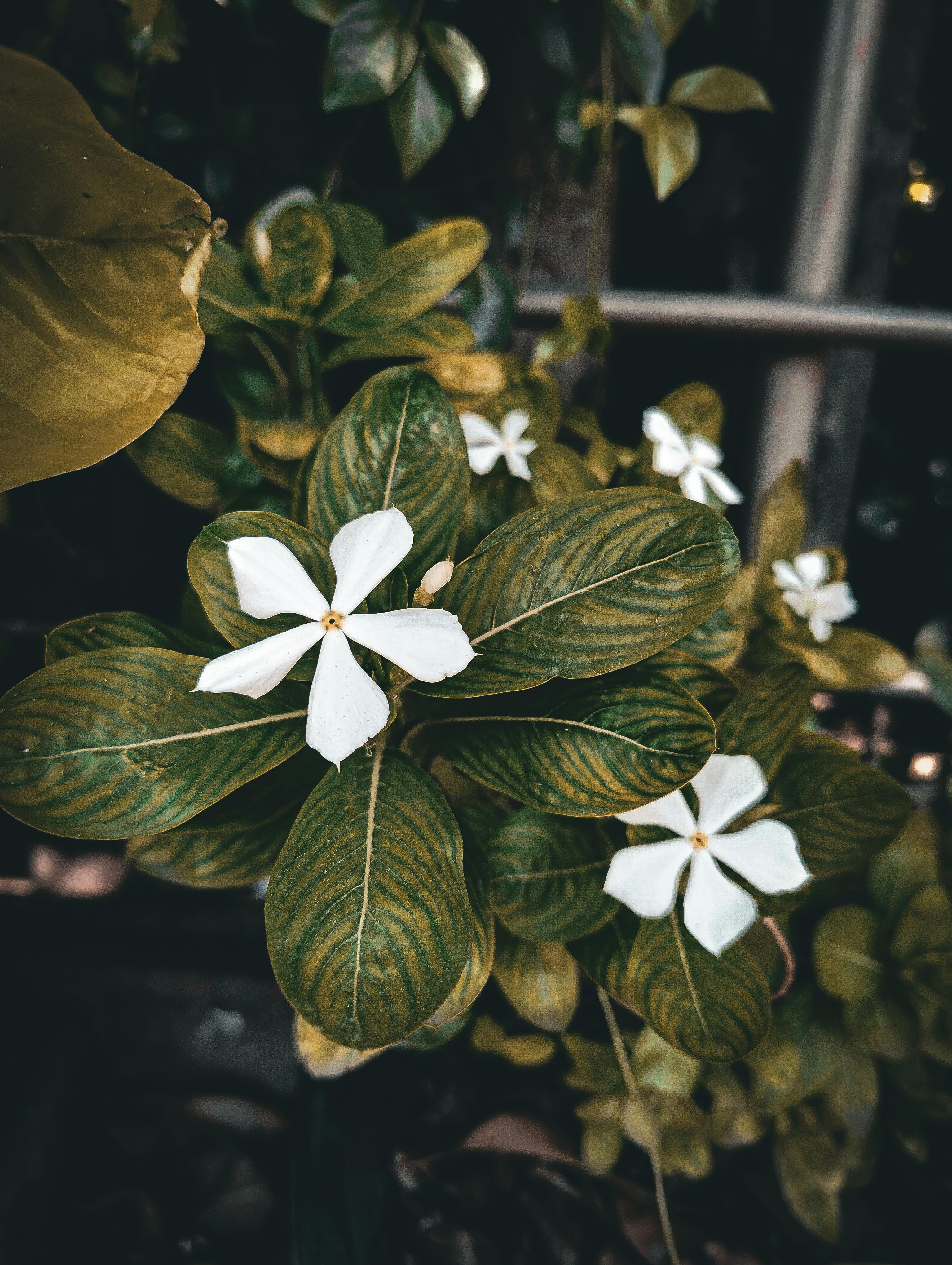 1200px 500px Photos, Download The BEST Free 1200px 500px Stock Photos ...