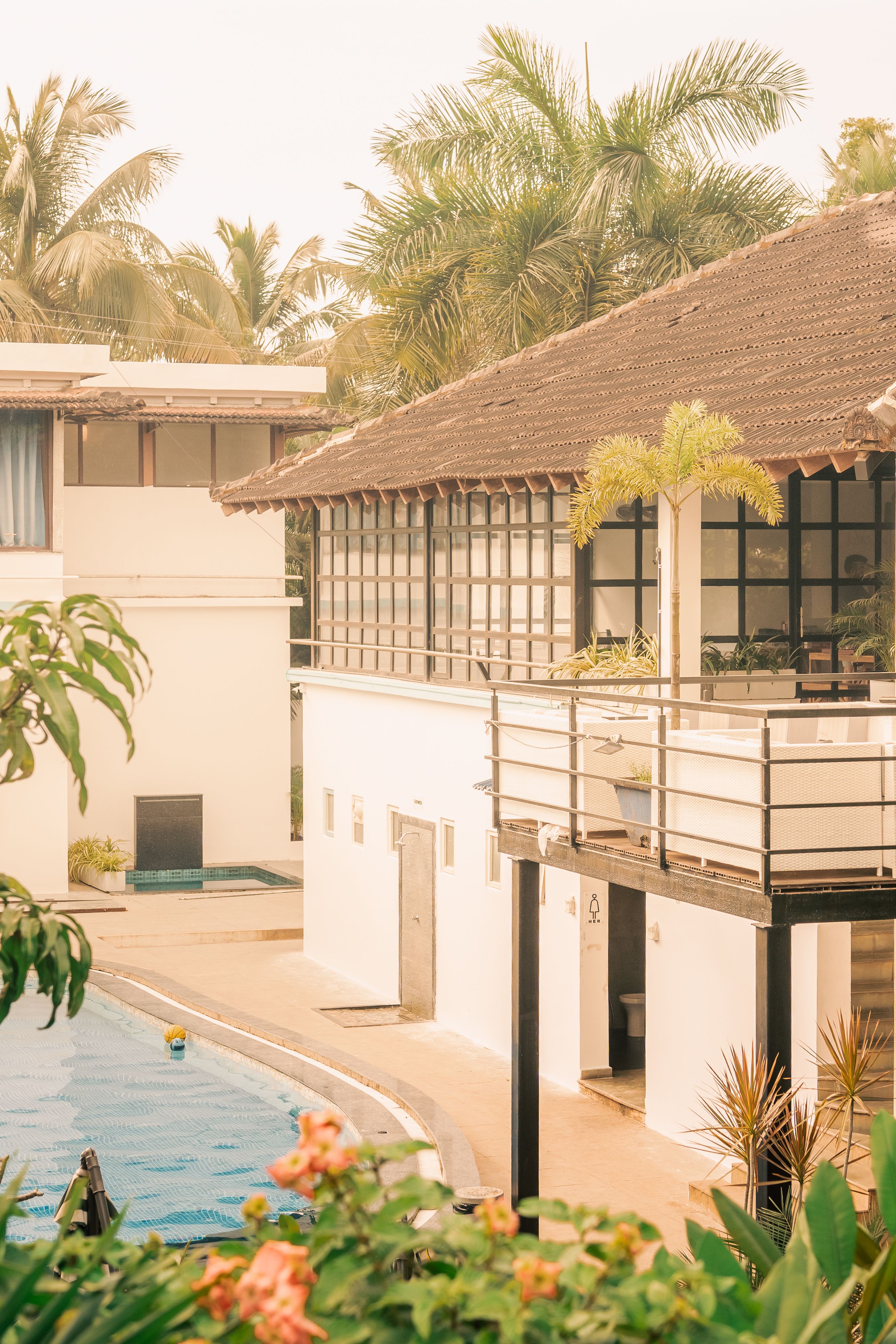 Tropical Resort Poolside with Lush Greenery · Free Stock Photo