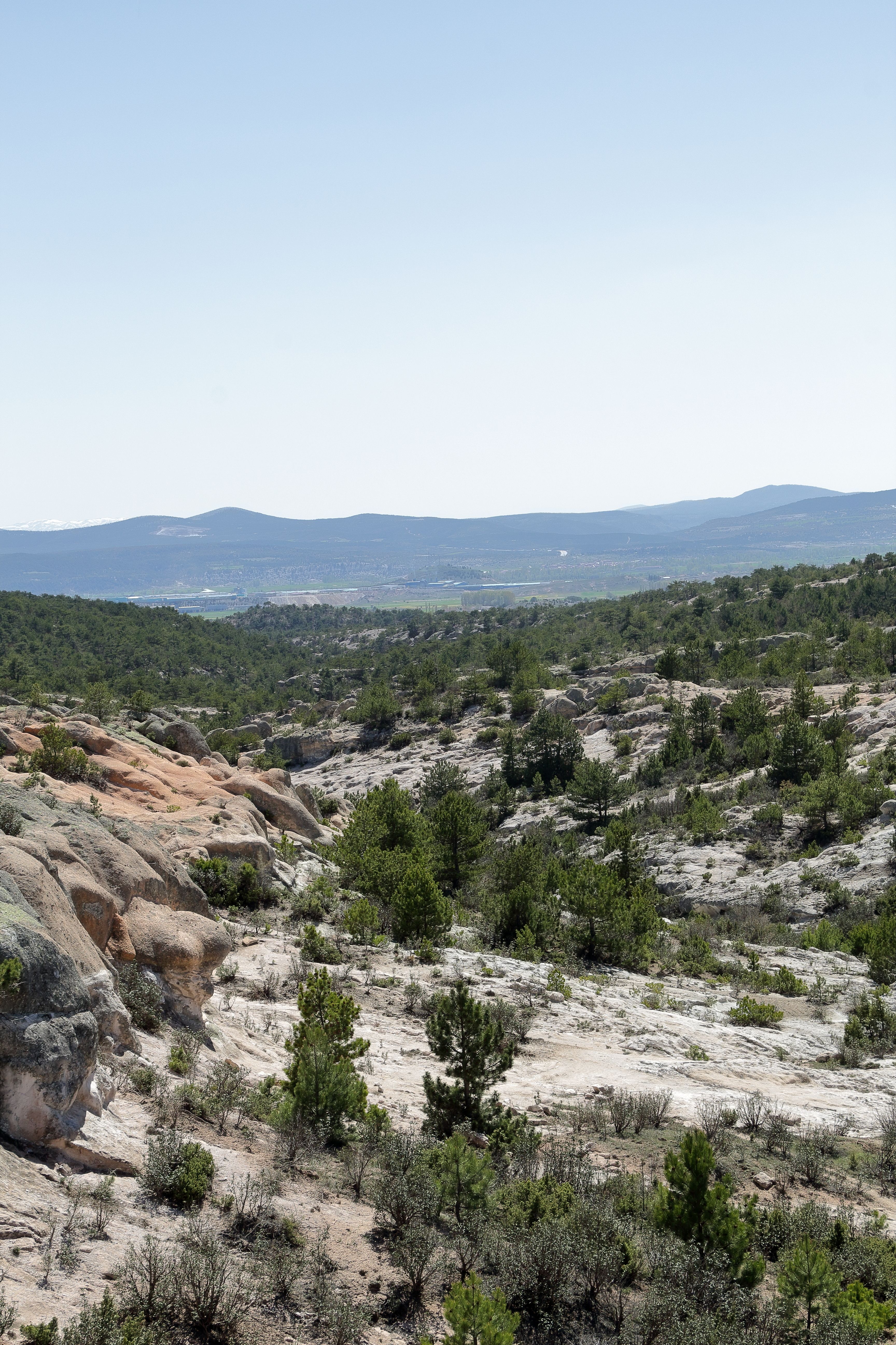 Scenic Rocky Landscape with Pine Trees · Free Stock Photo
