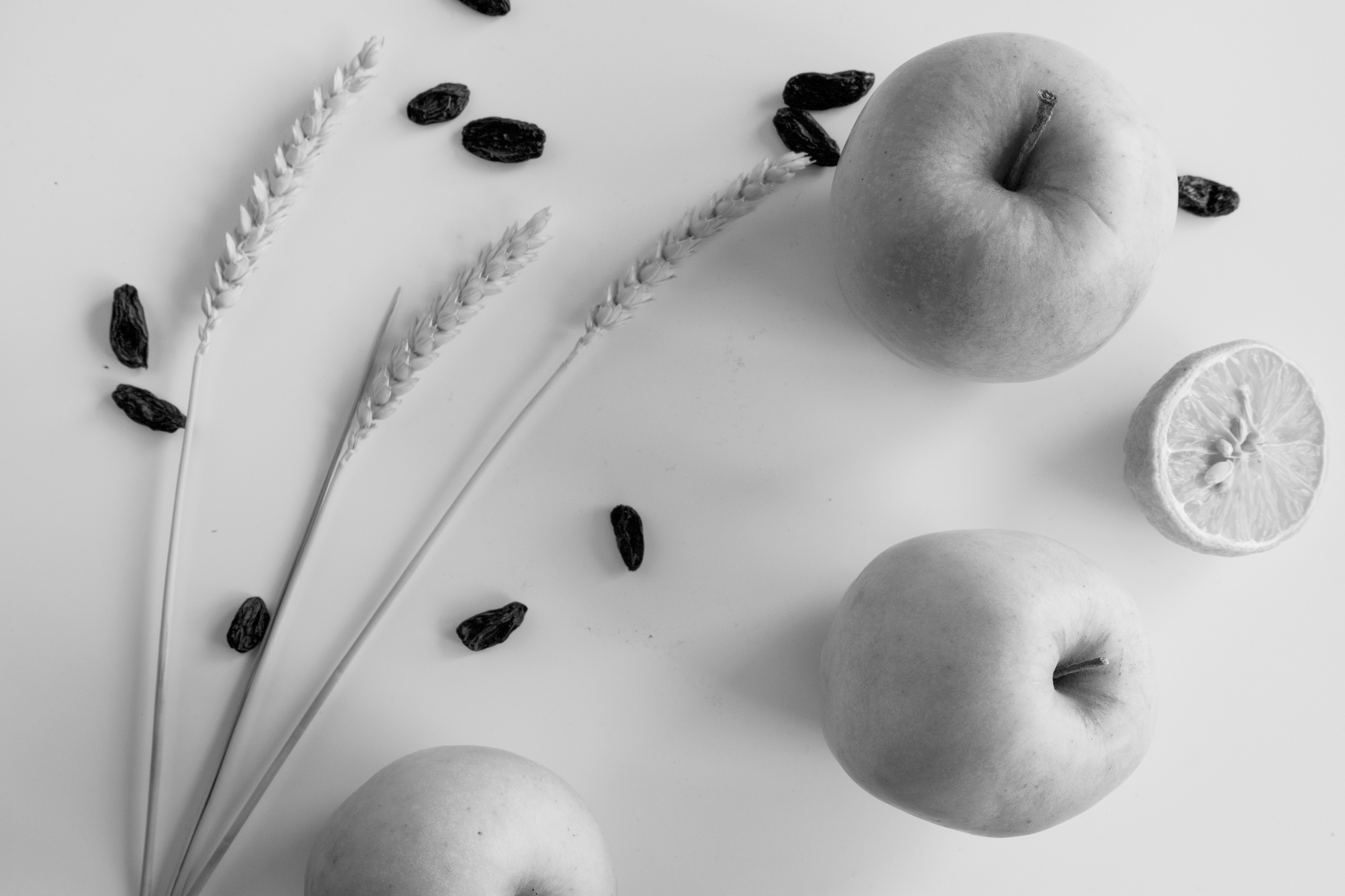 Monochrome Still Life with Apples and Lemon · Free Stock Photo