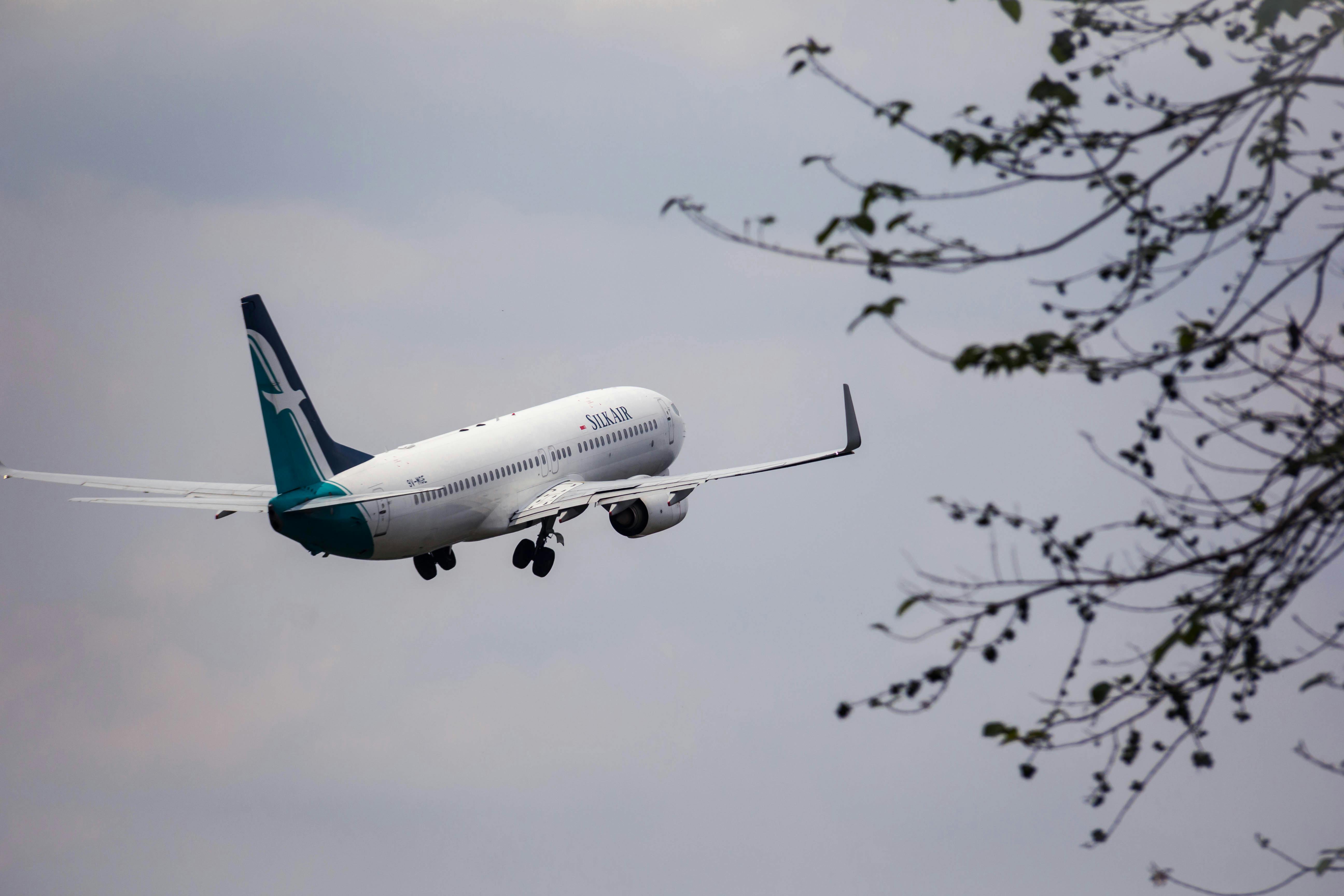 ilham izzul - 写真