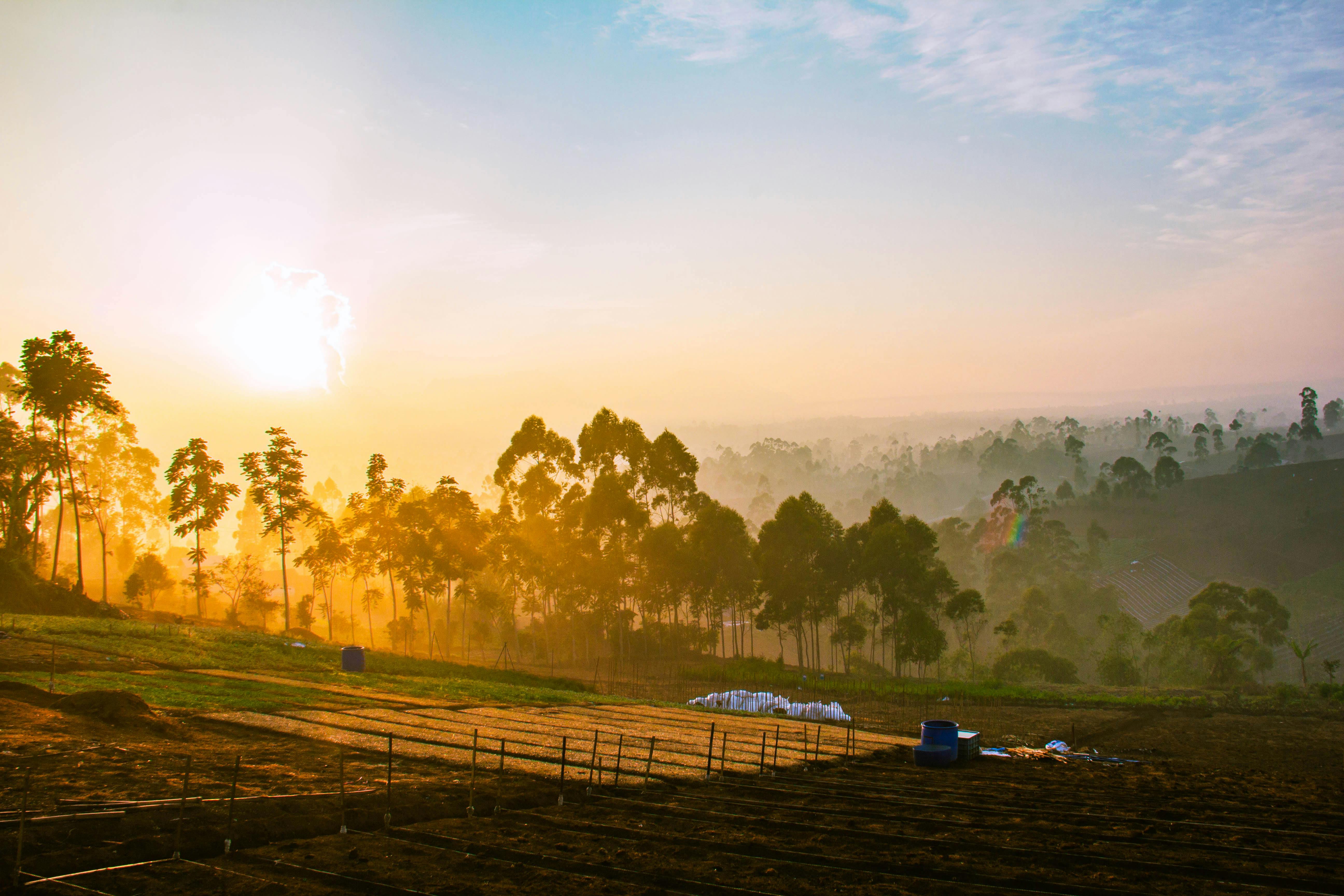 ilham izzul - Photography