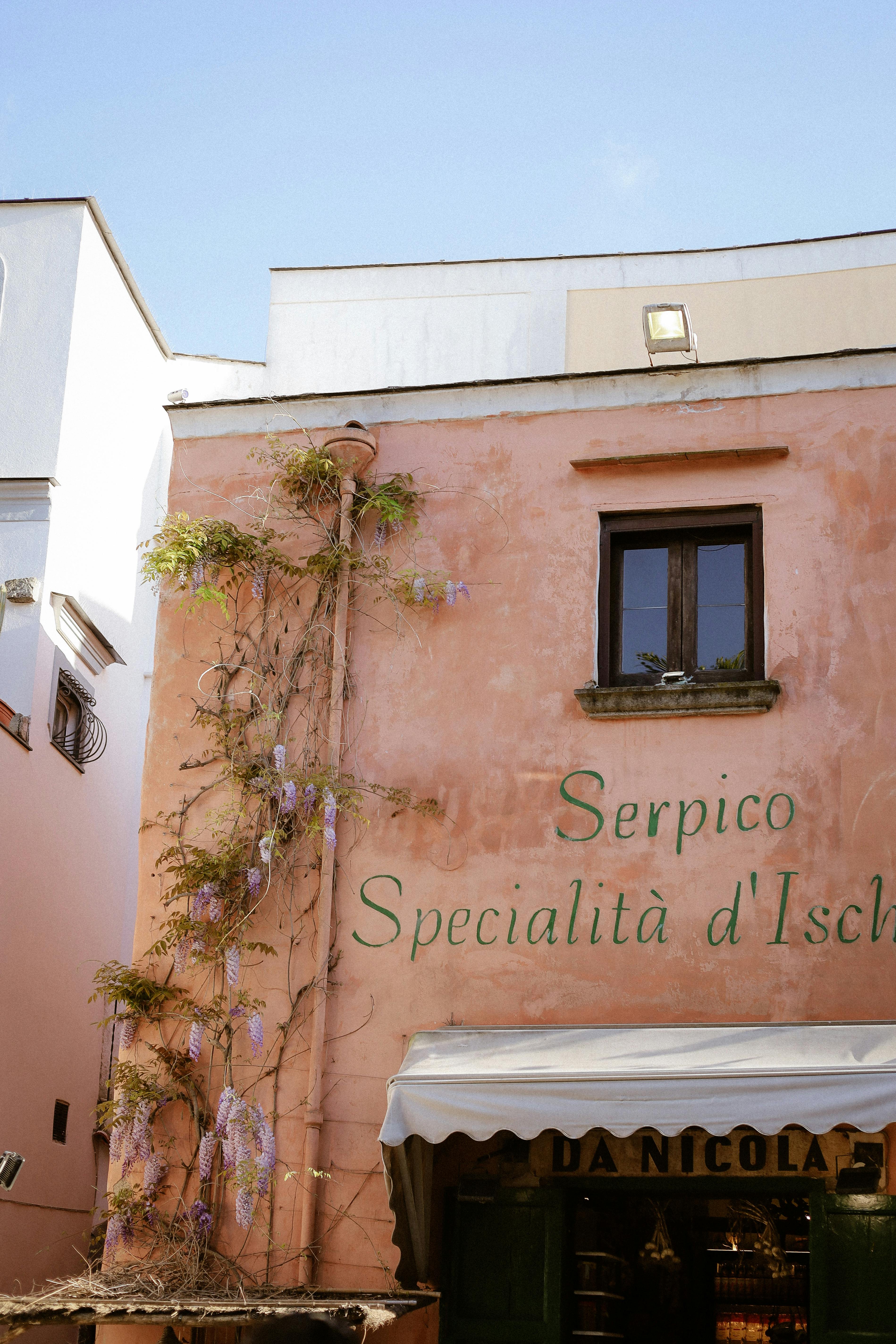 Mediterranean Window Photos, Download The BEST Free Mediterranean ...