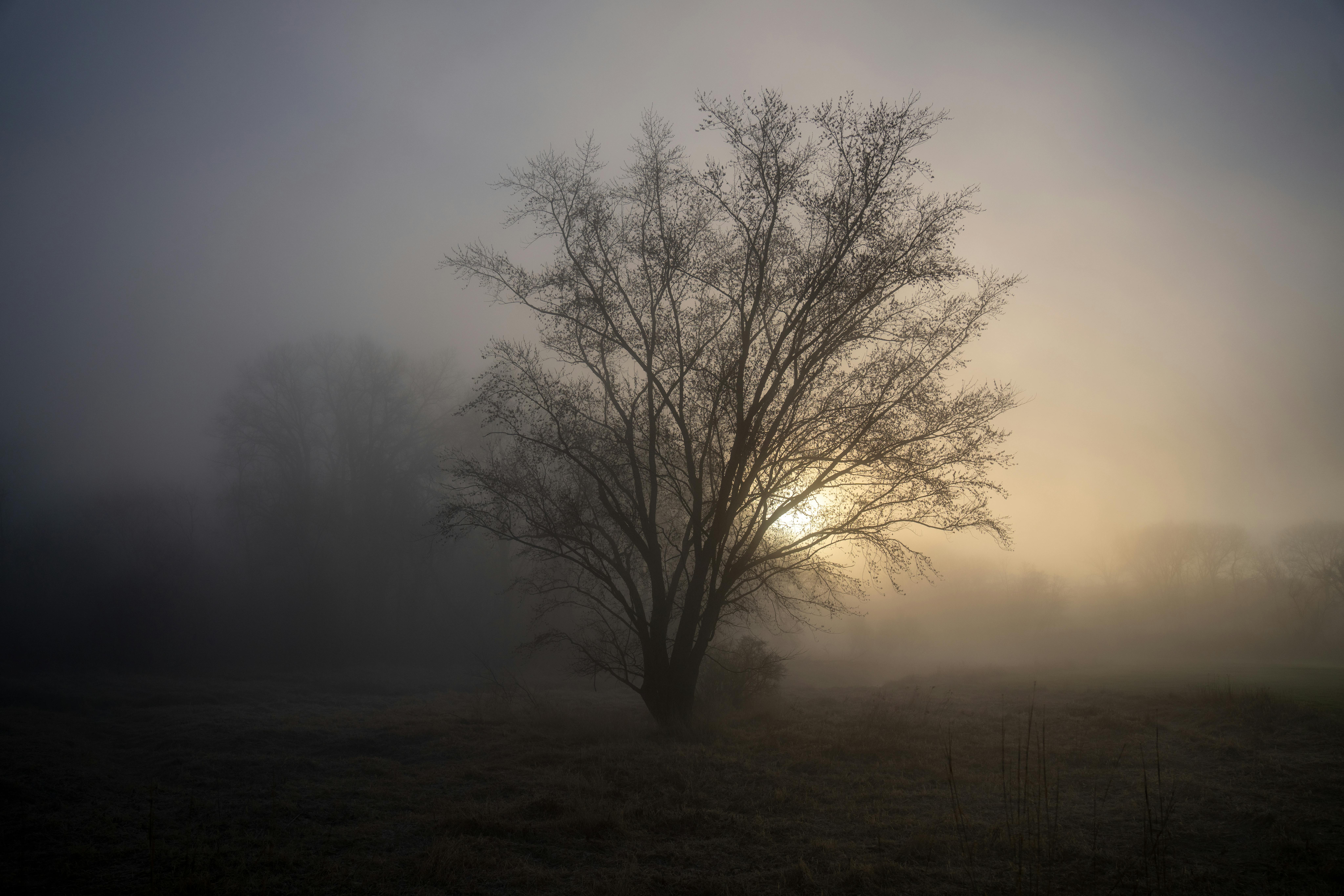 Morning Light 5am Photos, Download The BEST Free Morning Light 5am ...