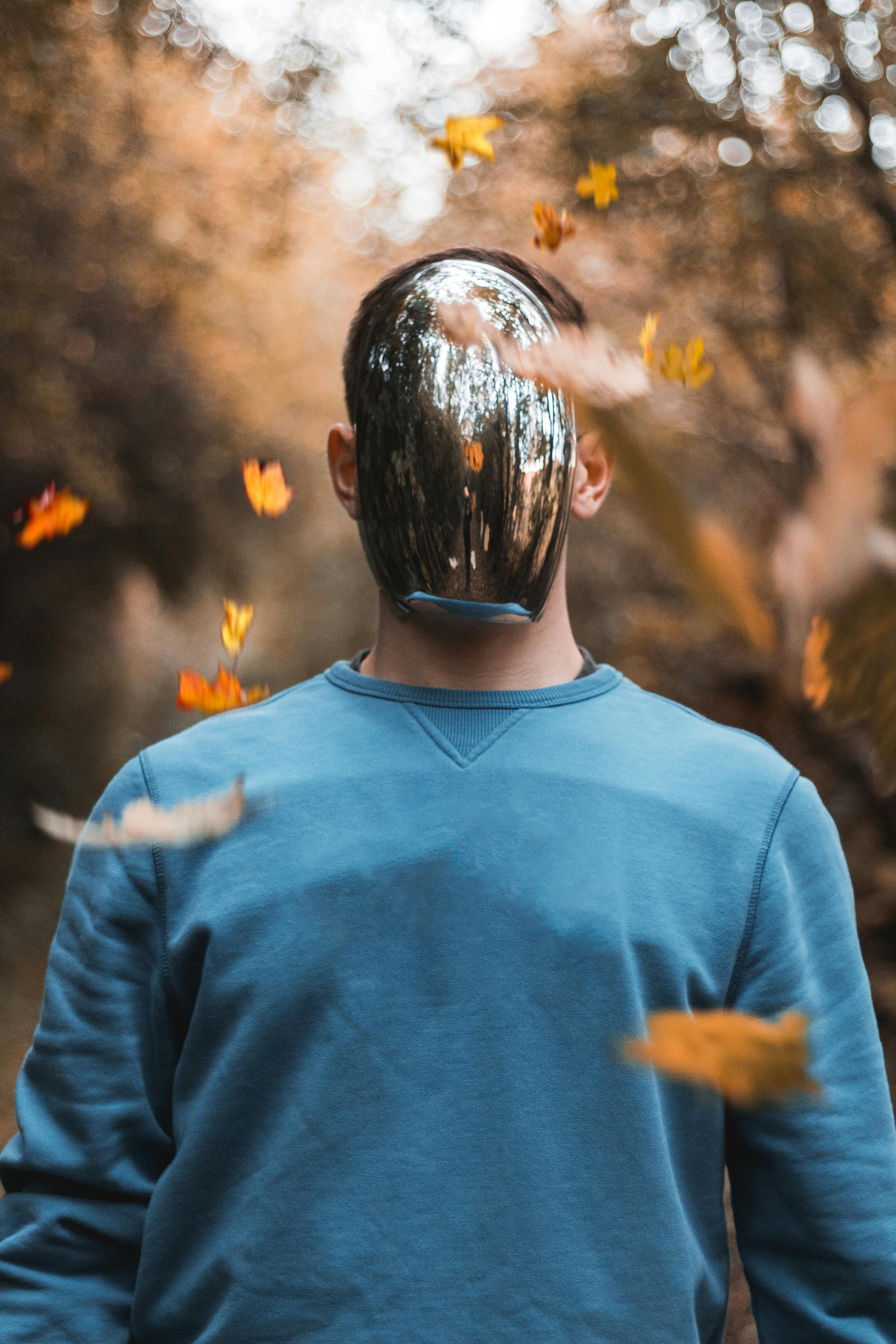 가을, 따뜻하게, 떨어지다에 관한 무료 스톡 사진