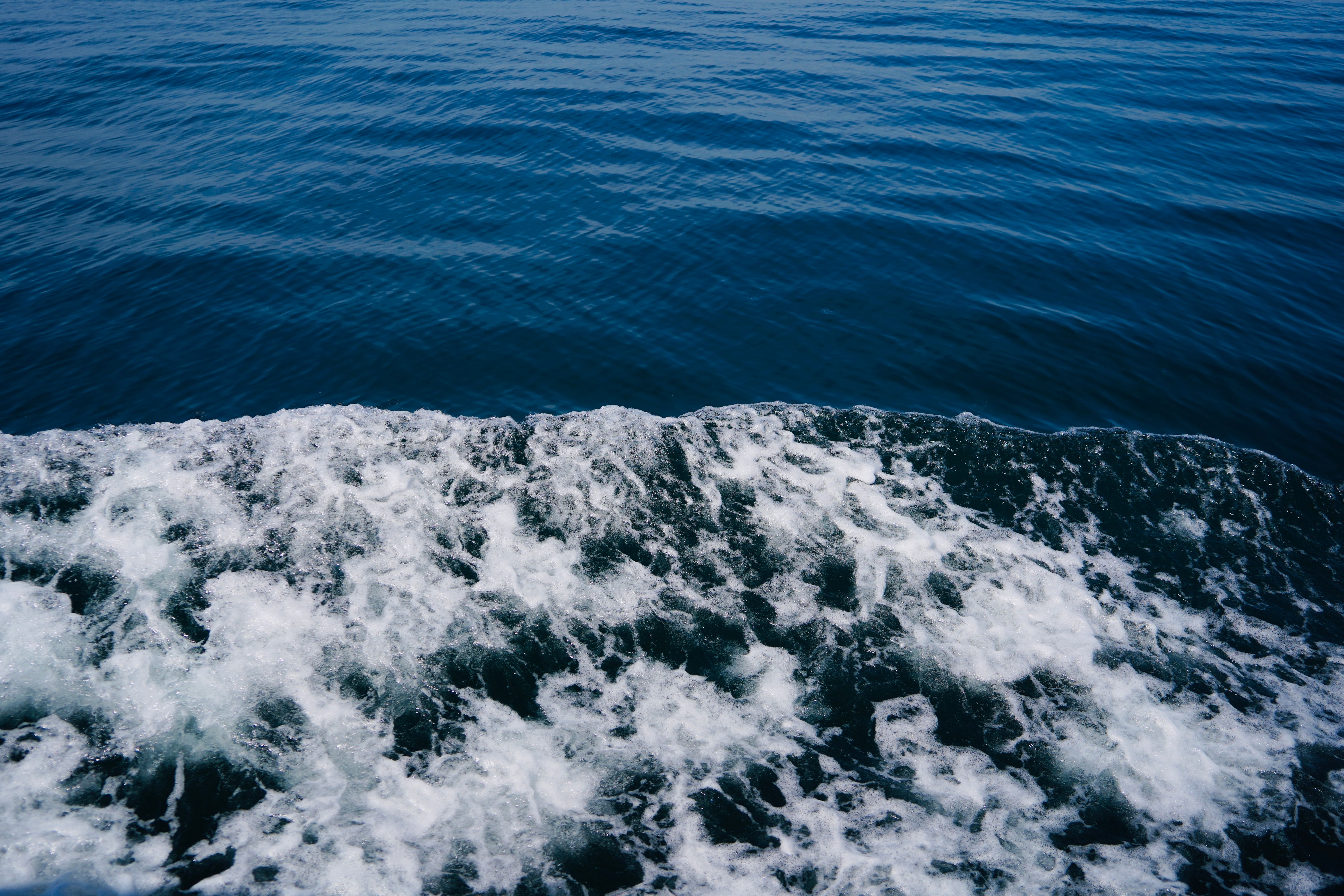 Wide Blue Ocean Waves with Textured Surface · Free Stock Photo