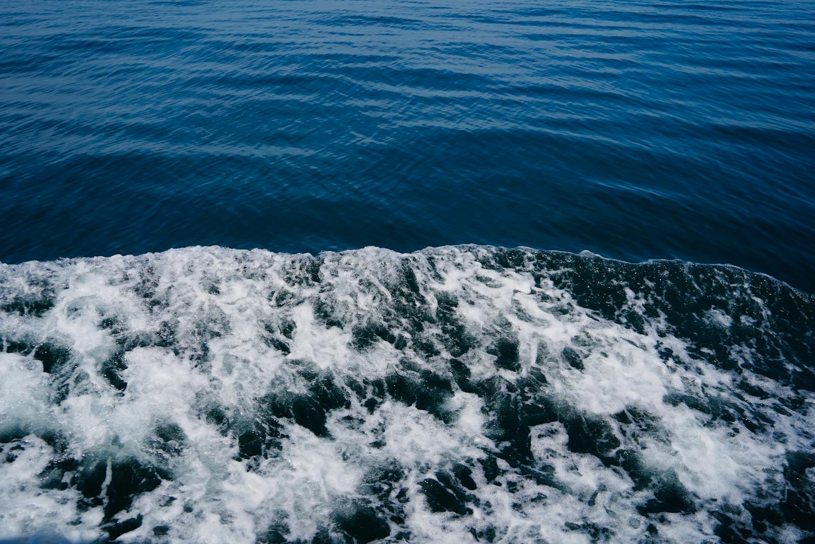 Deep Ocean Photos, Download The BEST Free Deep Ocean Stock Photos & HD ...