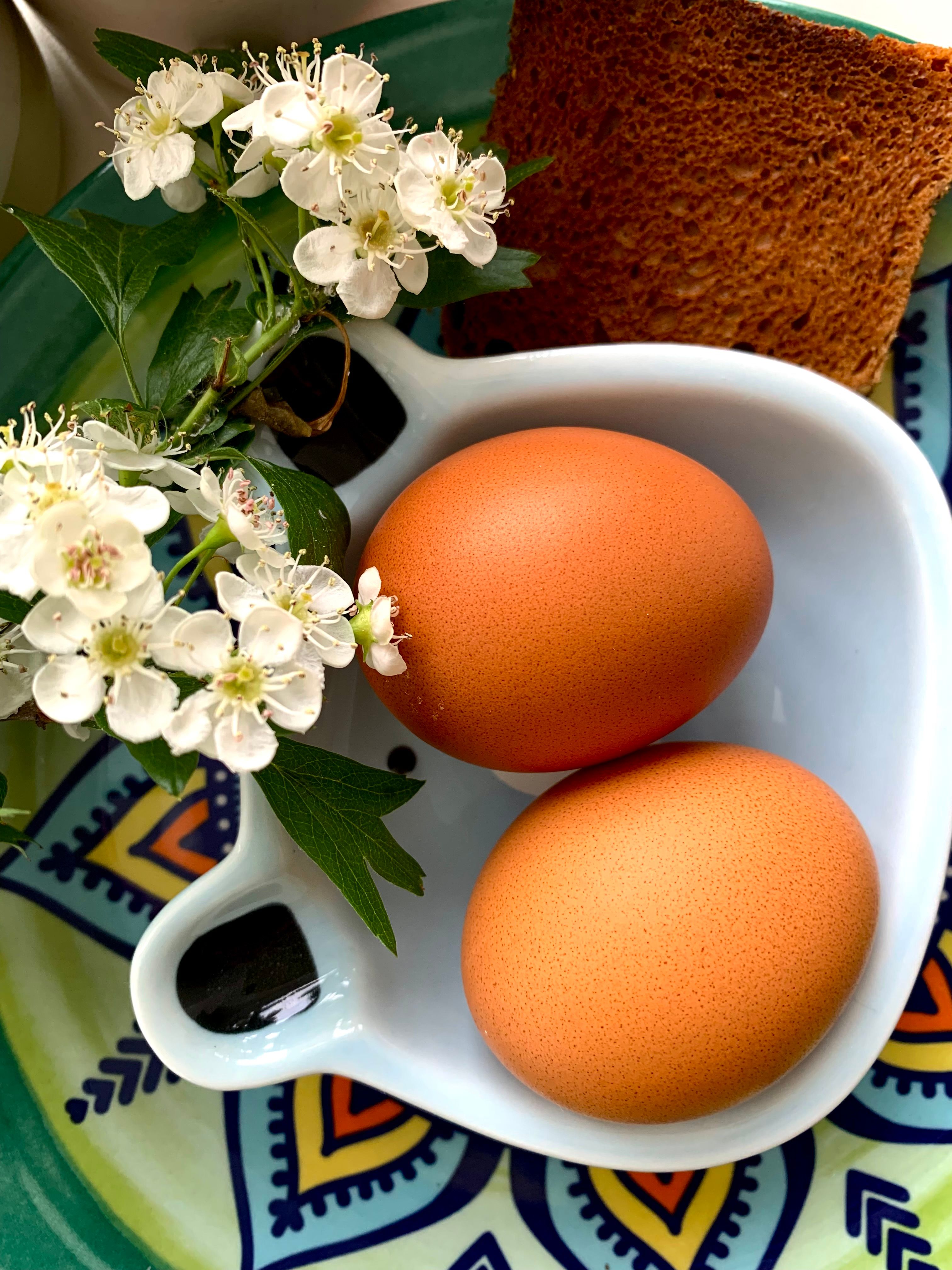 Double Yoke Egg Photos, Download The BEST Free Double Yoke Egg Stock ...