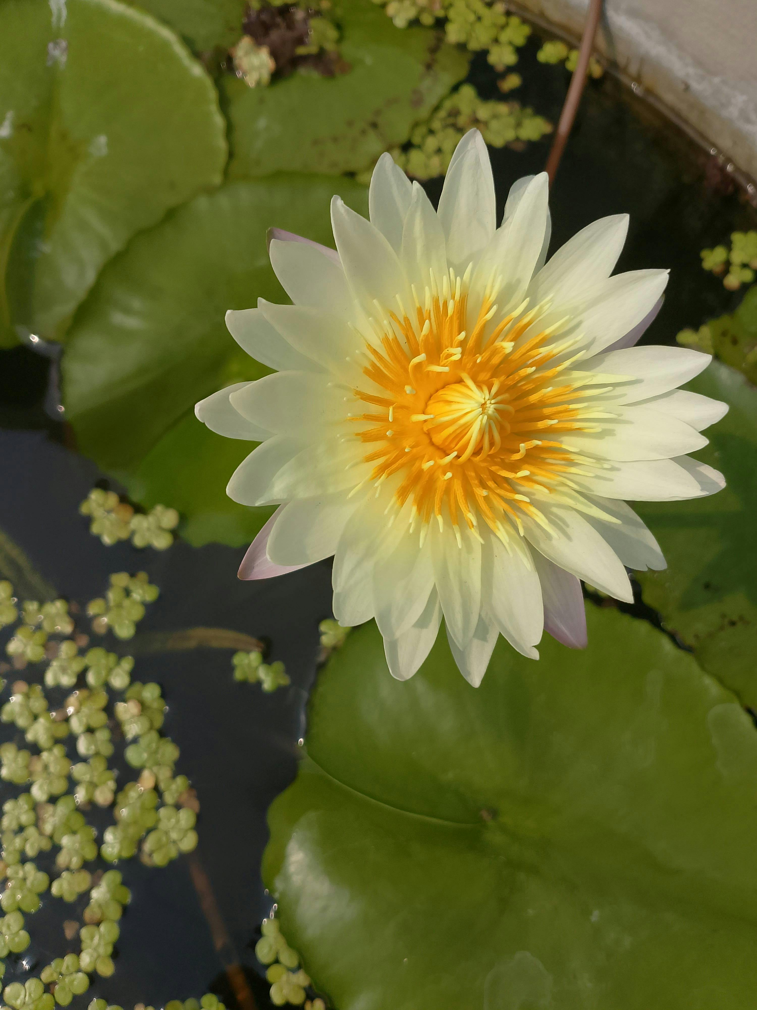 Cursor Pad Photos, Download The BEST Free Cursor Pad Stock Photos & HD ...