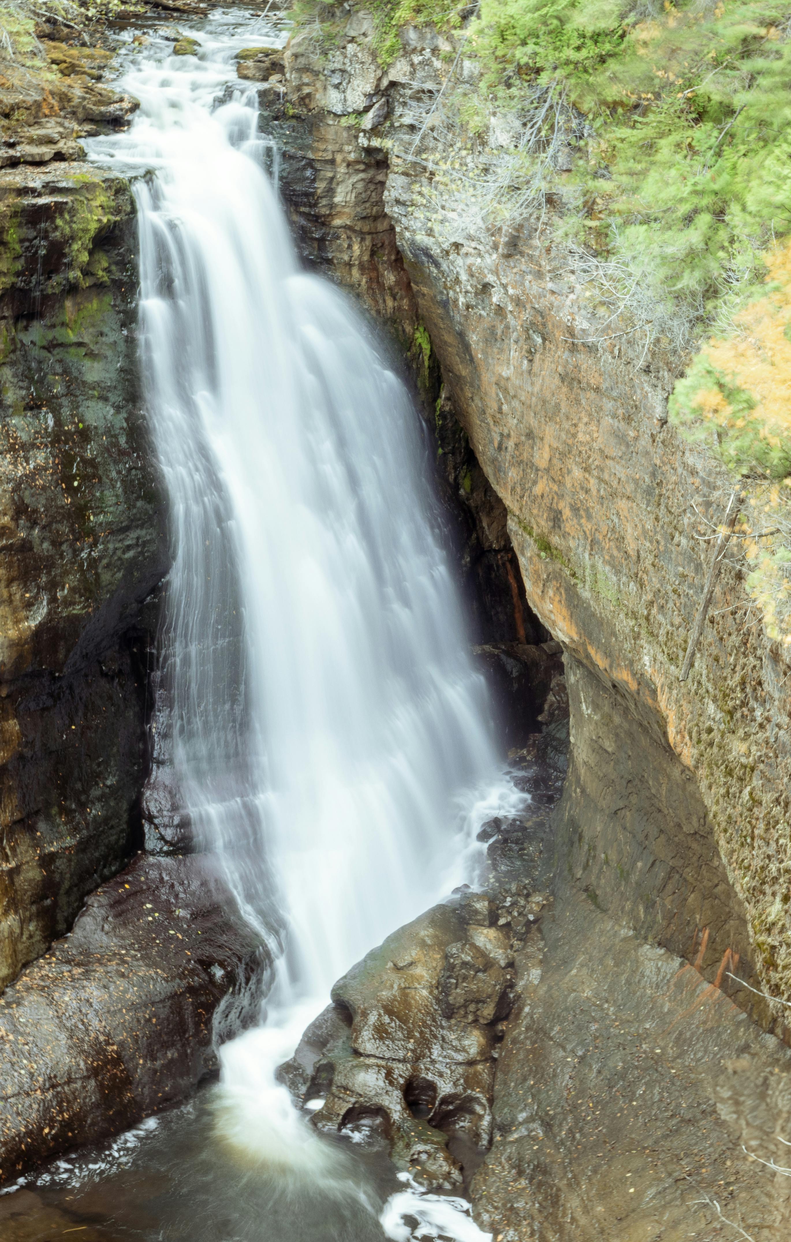 Coochie+Pictures Photos, Download The BEST Free Coochie+Pictures Stock ...