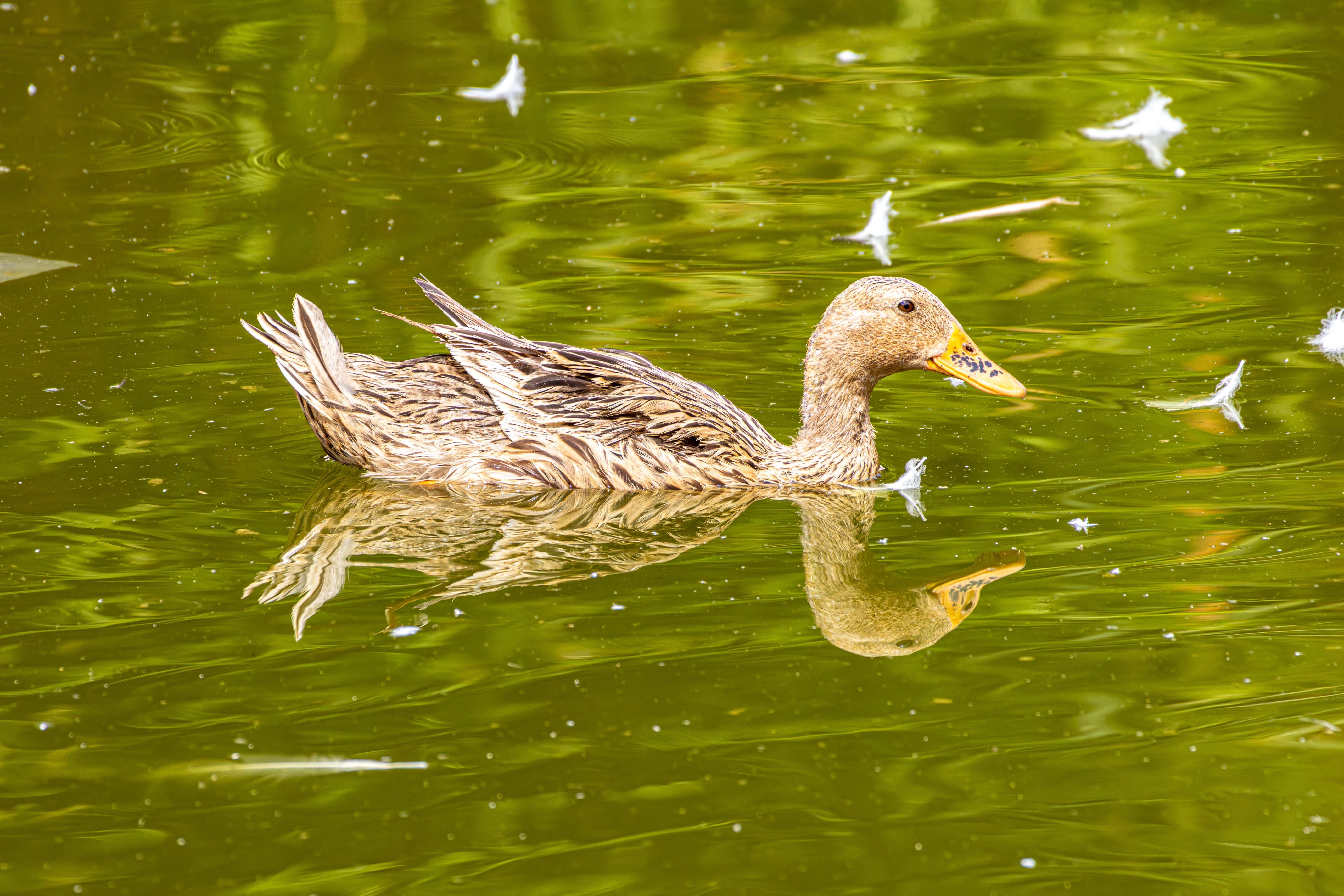 Stillness And Motion Photos, Download The BEST Free Stillness And ...