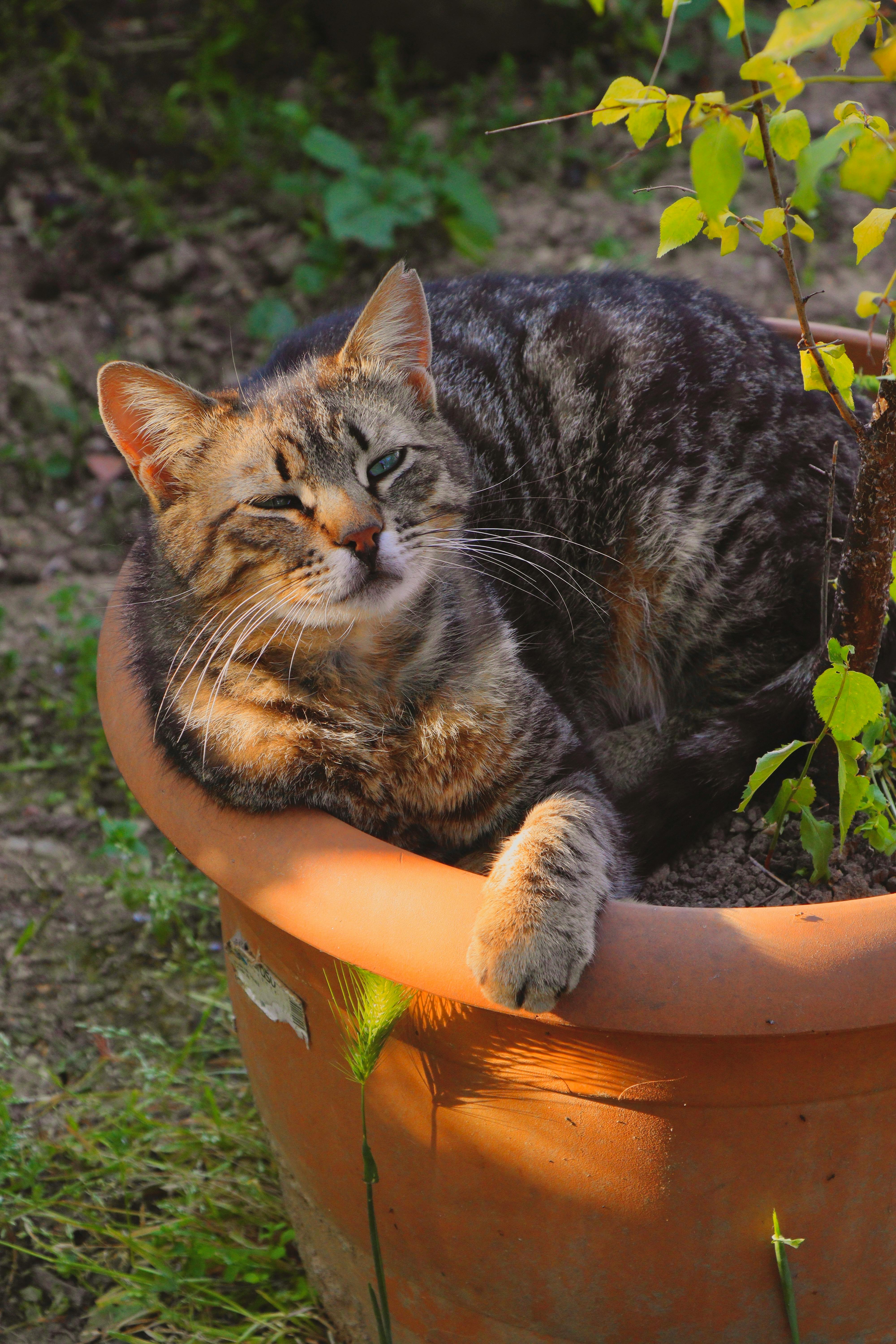 Cute+Girls+Gyats Photos, Download The BEST Free Cute+Girls+Gyats Stock ...