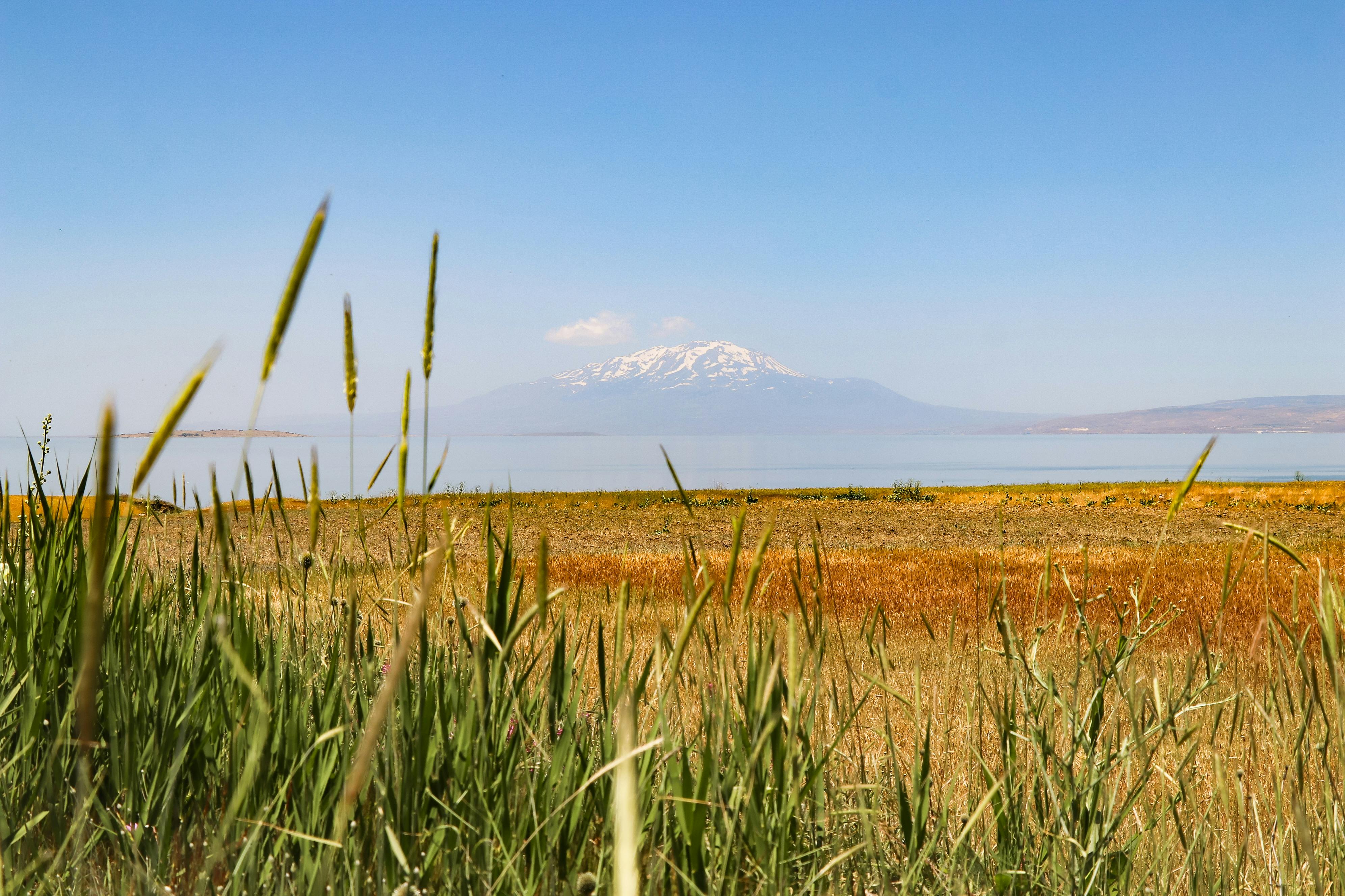 Remote Background Photos, Download The BEST Free Remote Background ...