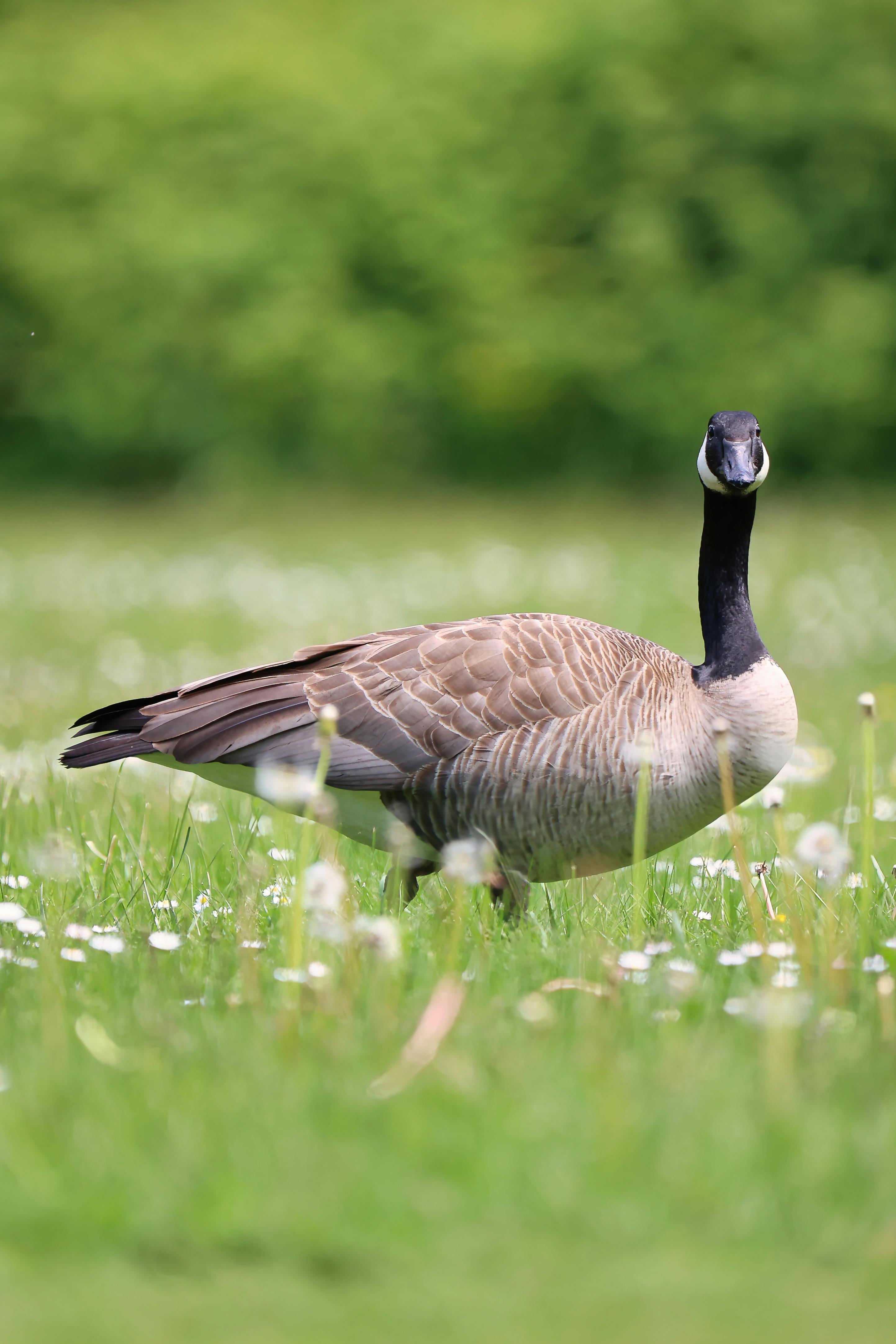 5mb Photo Photos, Download The BEST Free 5mb Photo Stock Photos & HD Images