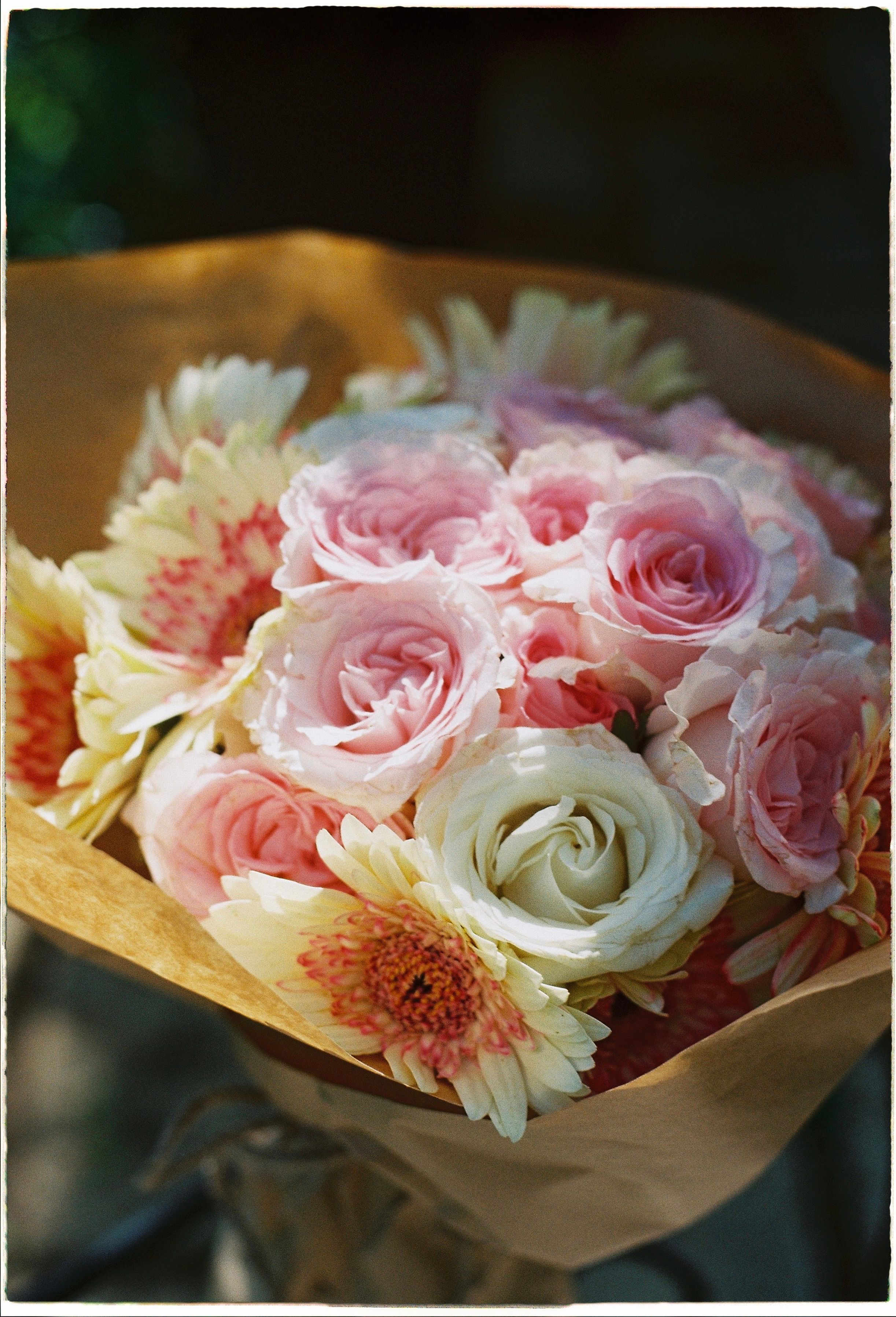 Elegant Bouquet of Pink Roses and Daisies · Free Stock Photo