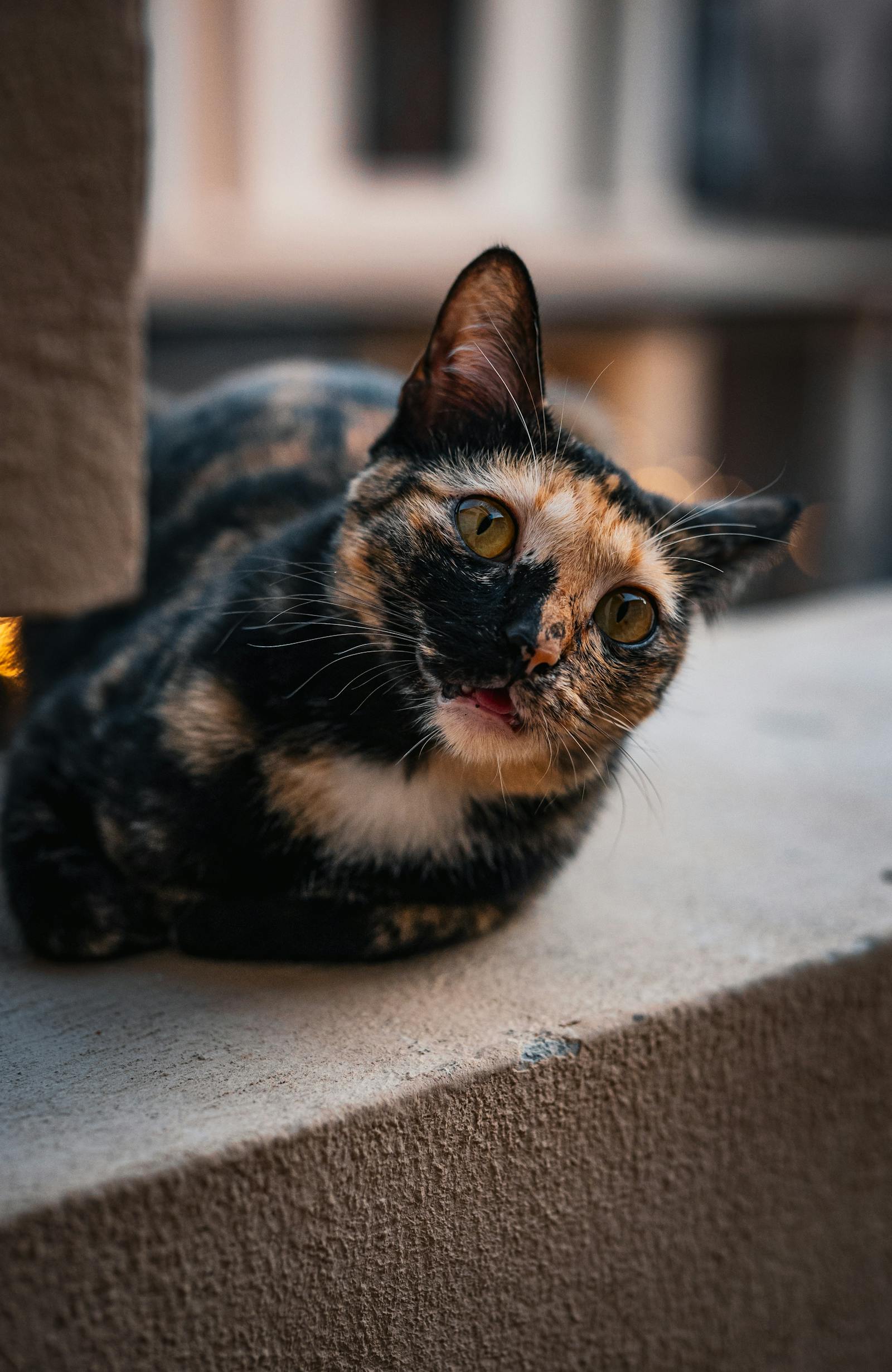 Free Stock Download Photos, Download The BEST Free Free Stock Download ...