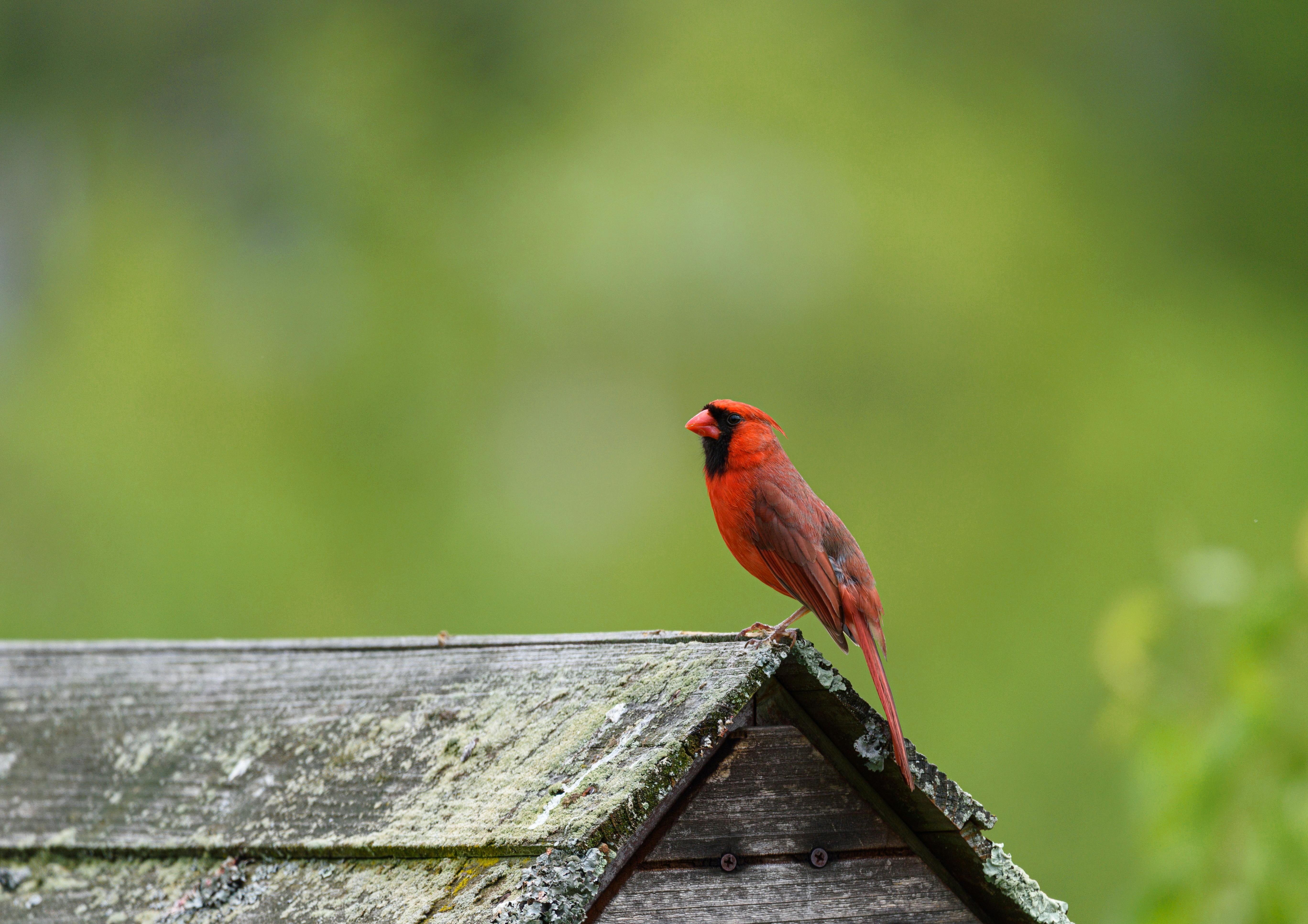 Mapquest Pa Photos, Download The BEST Free Mapquest Pa Stock Photos ...