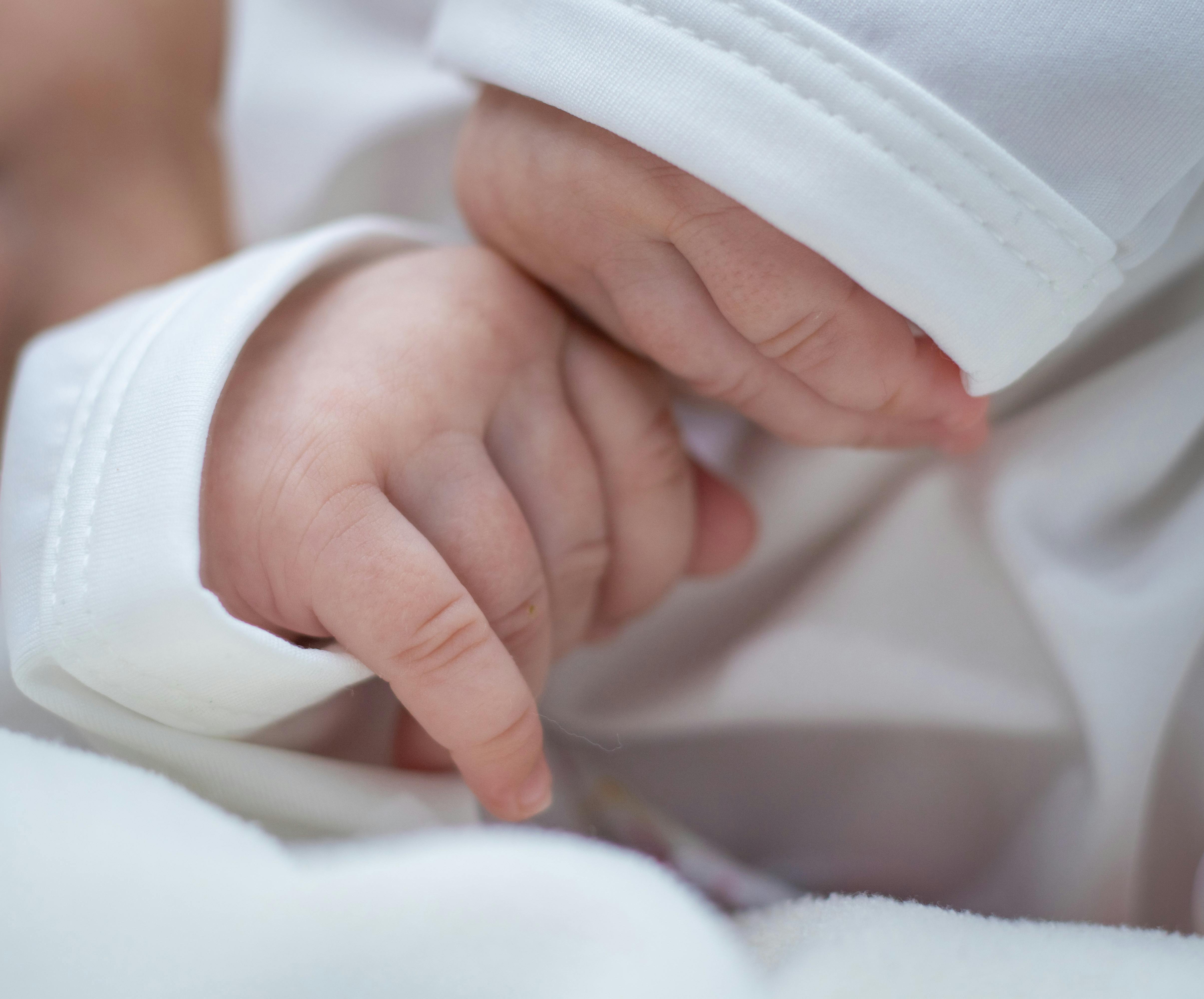 New Life Photos, Download The BEST Free New Life Stock Photos & HD Images