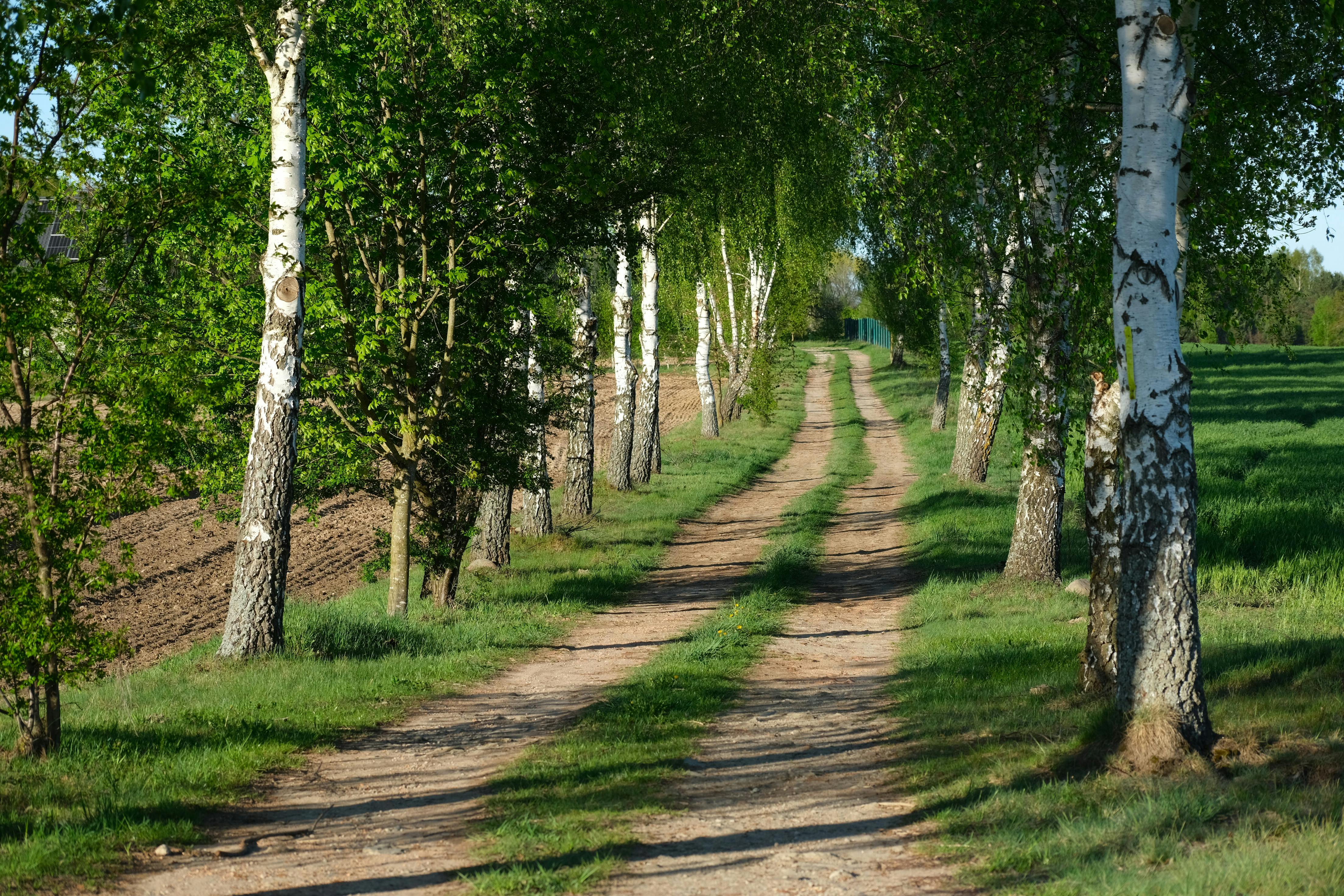 Seasons Photos, Download The BEST Free Seasons Stock Photos & HD Images