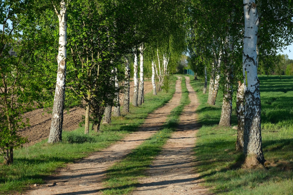 Icey Path Photos, Download The BEST Free Icey Path Stock Photos & HD Images