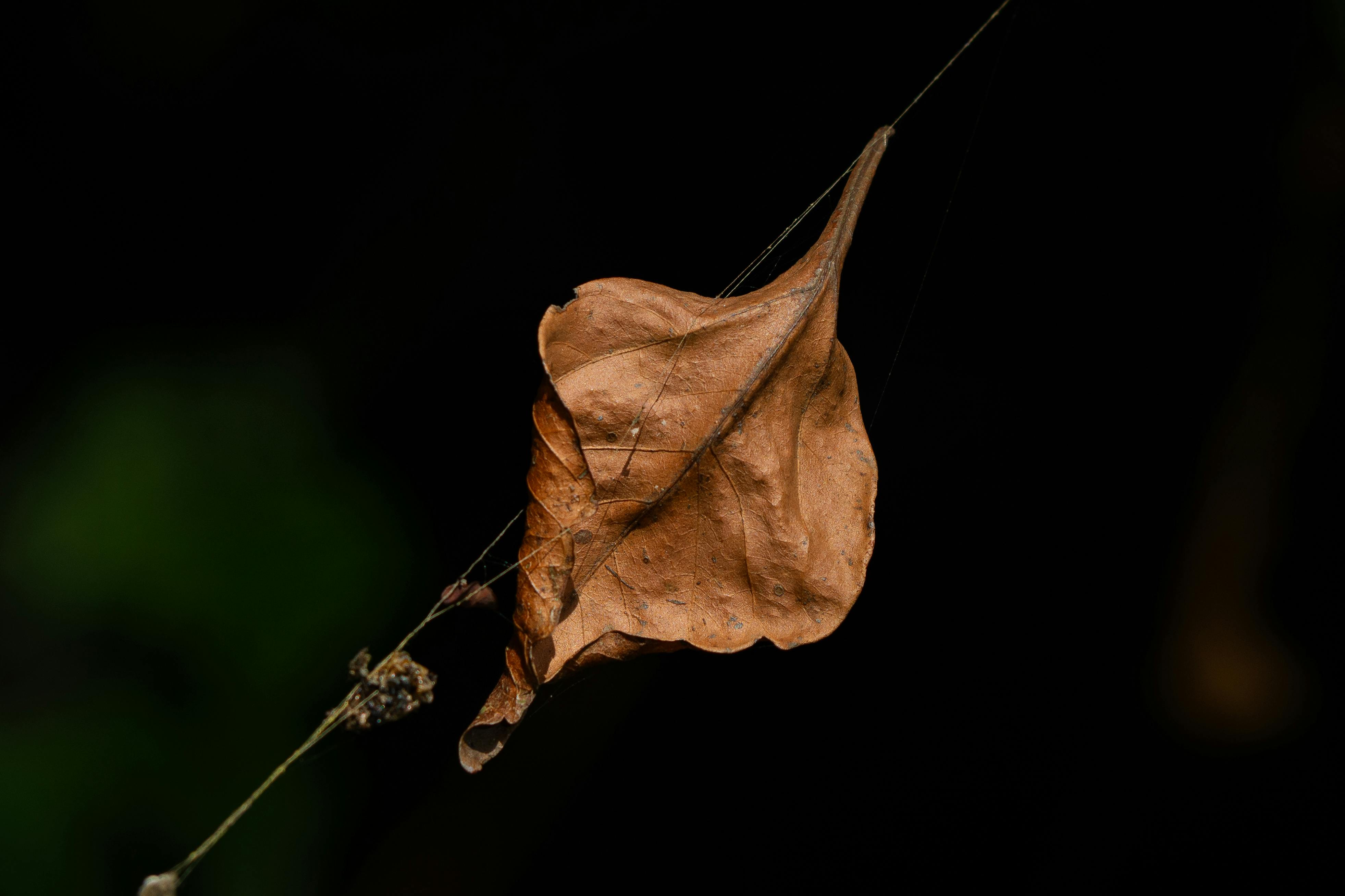 Web Development Background Photos, Download The BEST Free Web ...