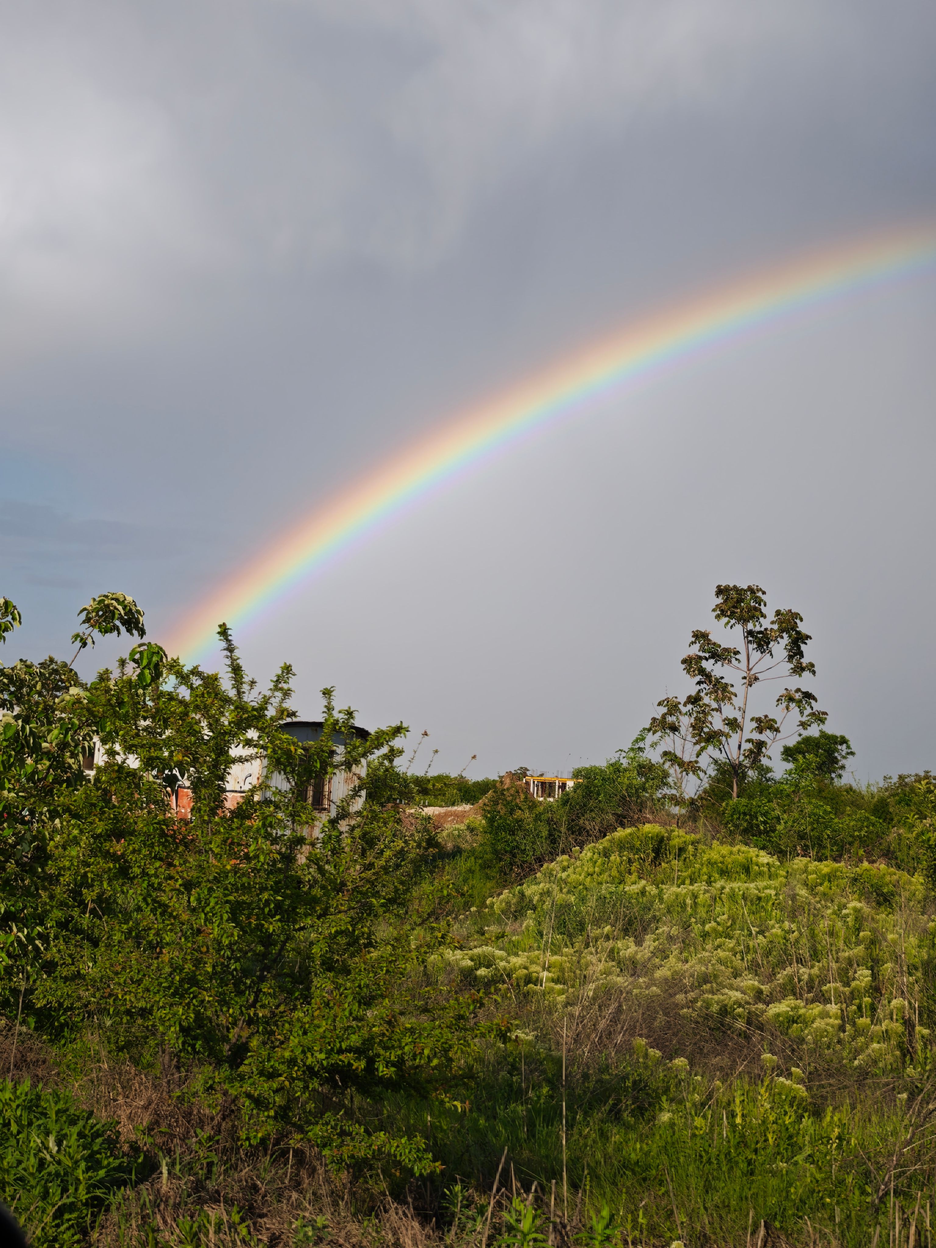 Arcoíris Vibrante Sobre Exuberante Vegetación Al Aire Libre · Foto de ...