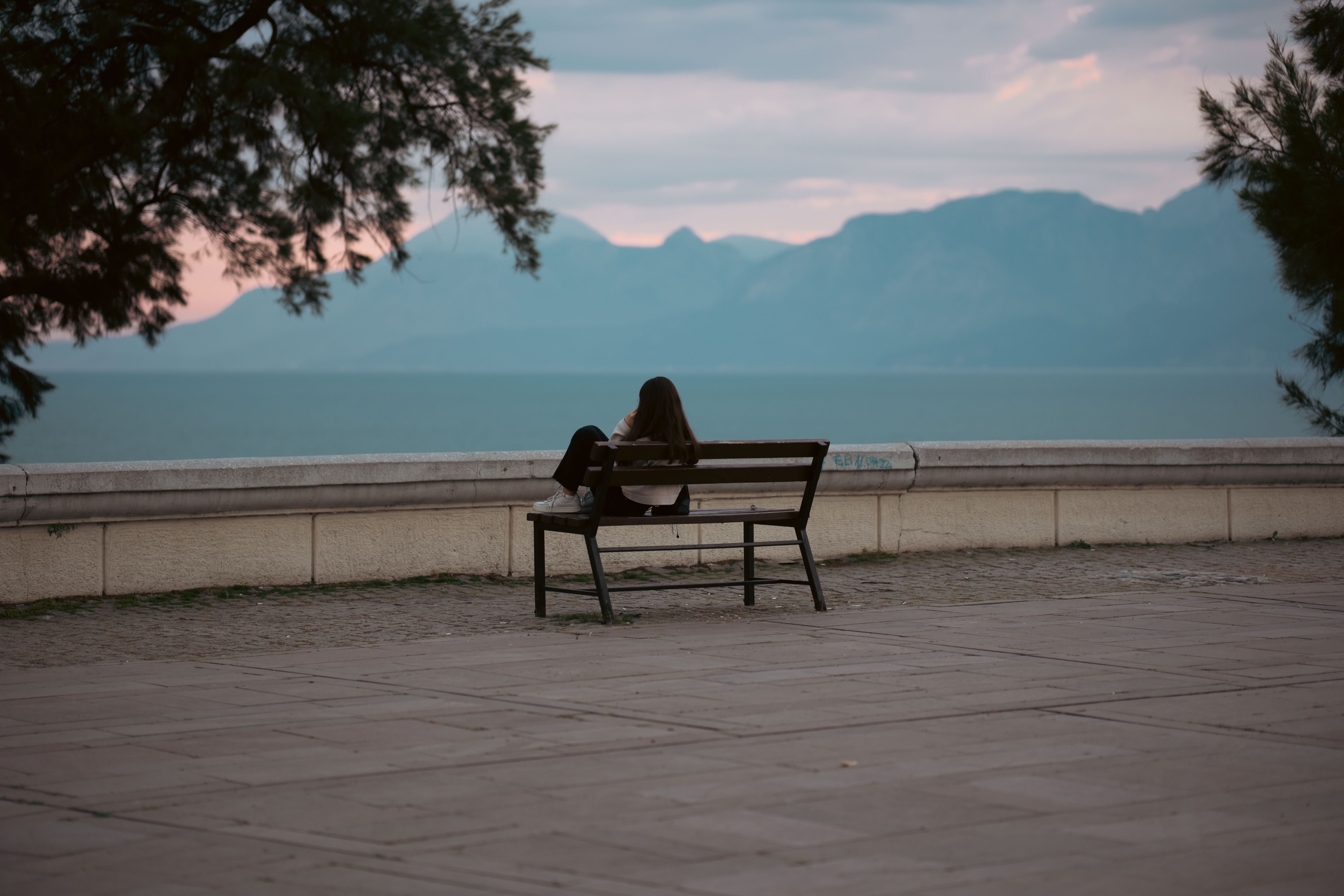 Serene Seaside Bench with Mountain View · Free Stock Photo