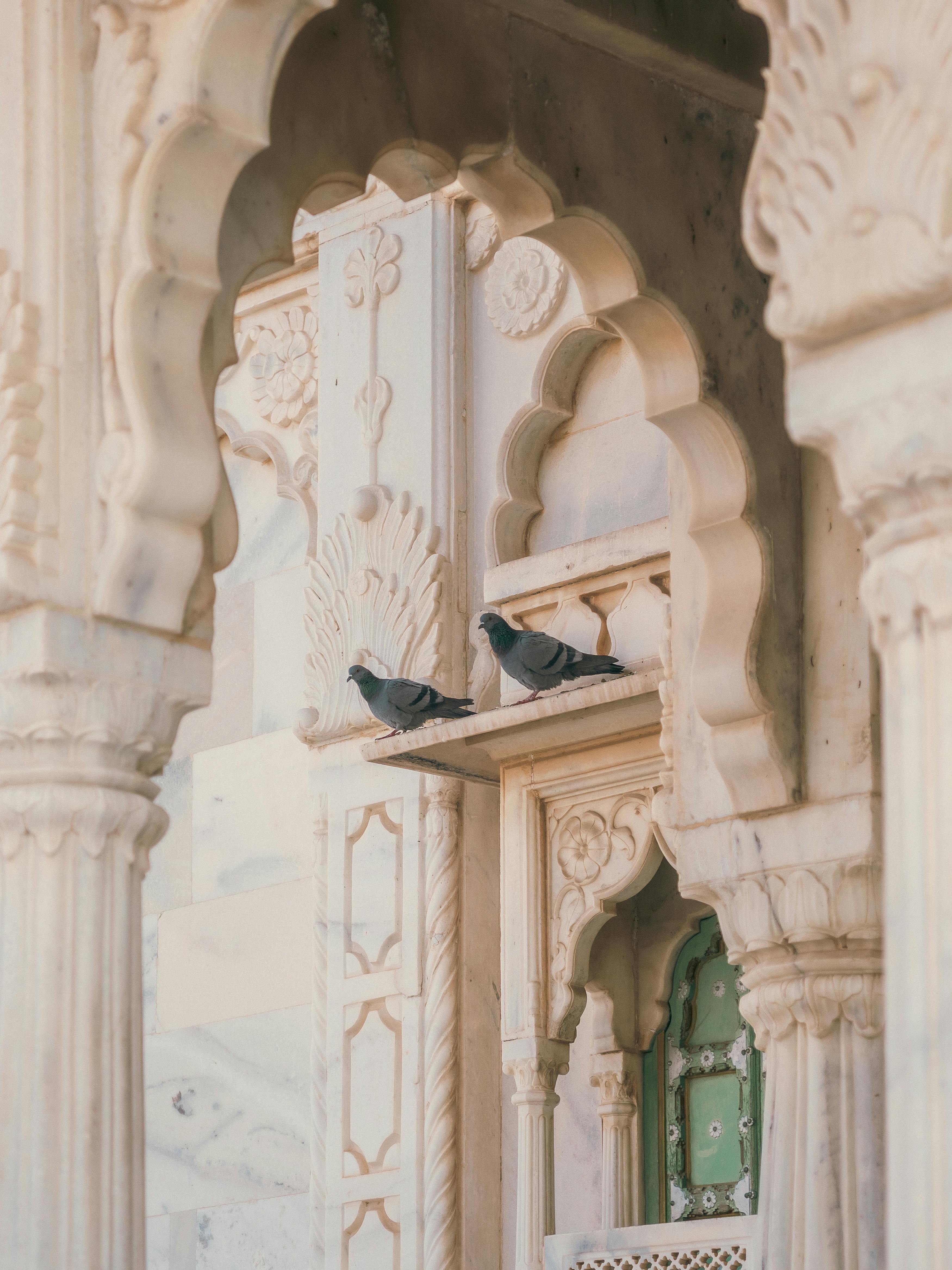 60.000+ Jo+and+judy+wallpaper Bilder und Fotos · Kostenlos Downloaden · Pexels Stock-Fotos