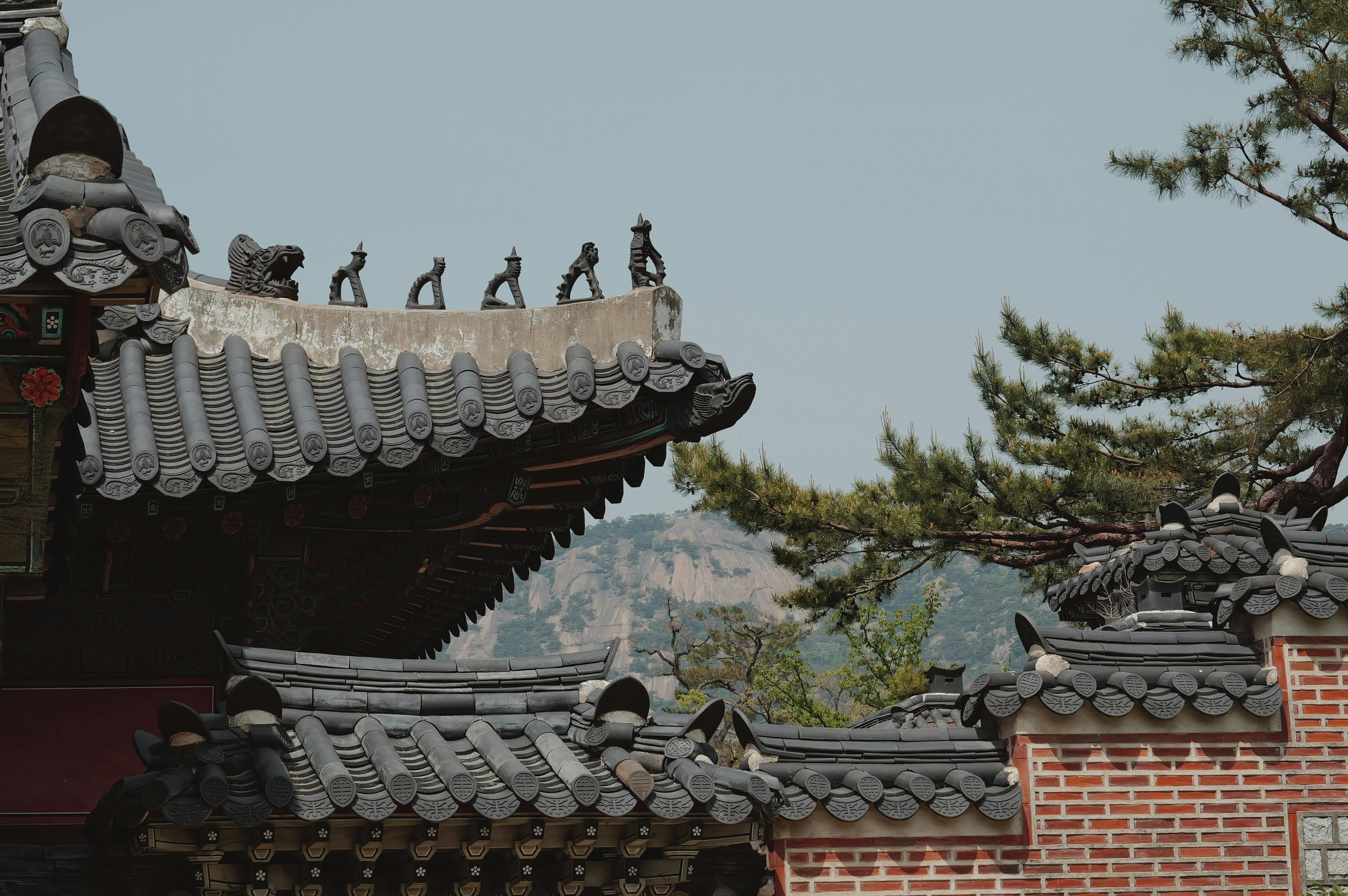 Lihat+Video+Bokep+Korea+Baru+Viral Photos, Download The BEST Free Lihat+Video+Bokep+Korea+Baru ...