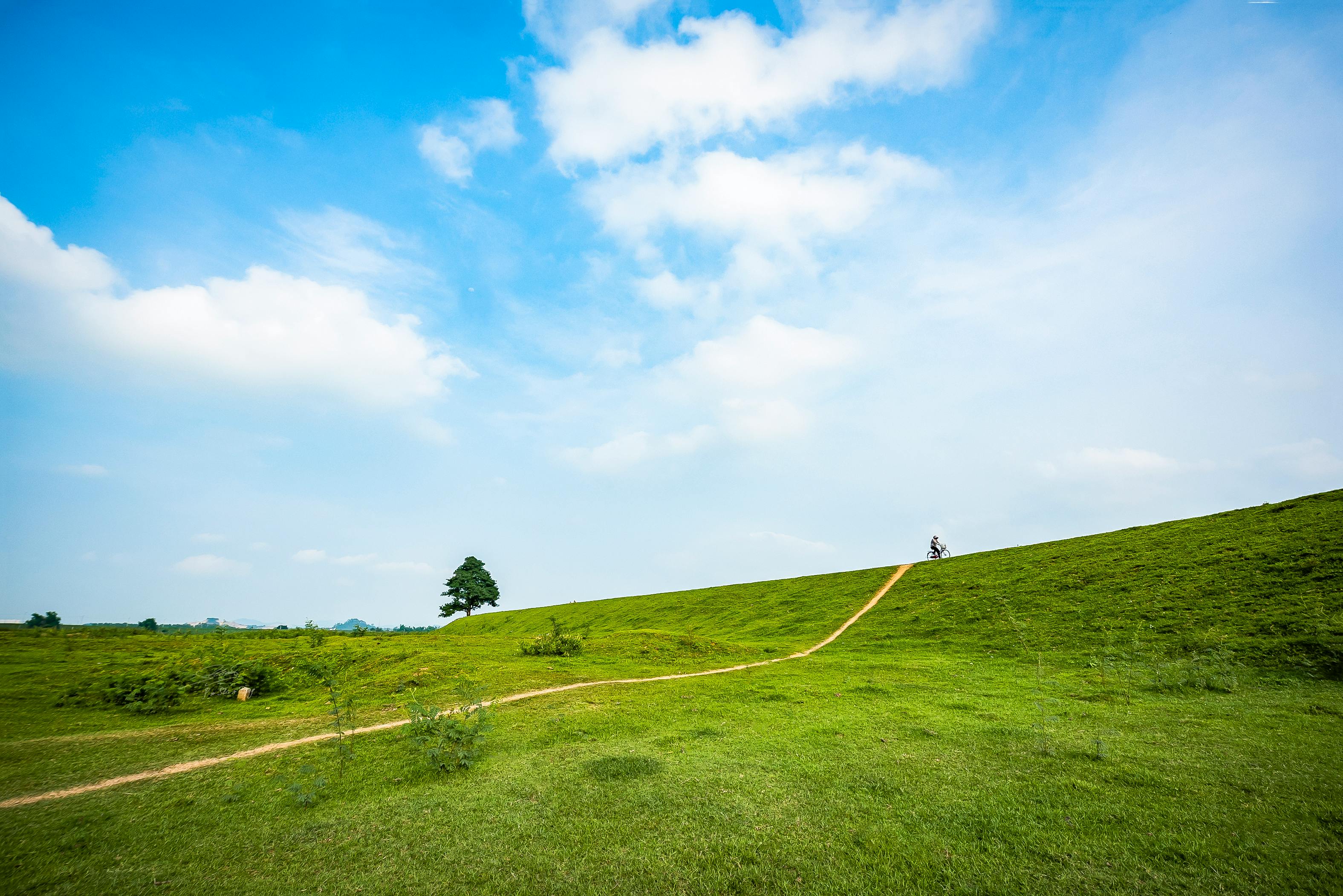 Xbox+One+Weed+Wallpaper Photos, Download The BEST Free Xbox+One+Weed ...