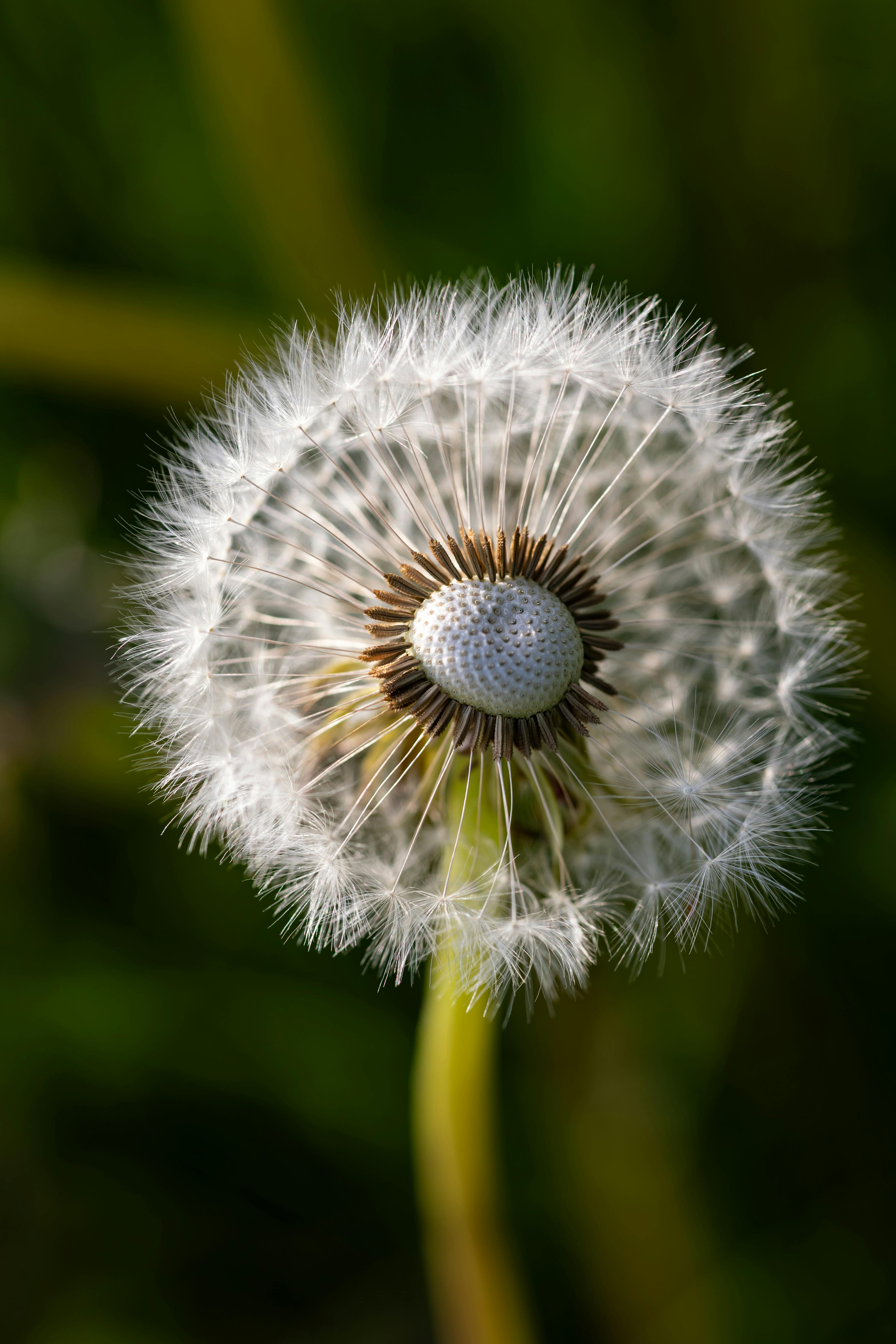 5mb Photo Photos, Download The BEST Free 5mb Photo Stock Photos & HD Images