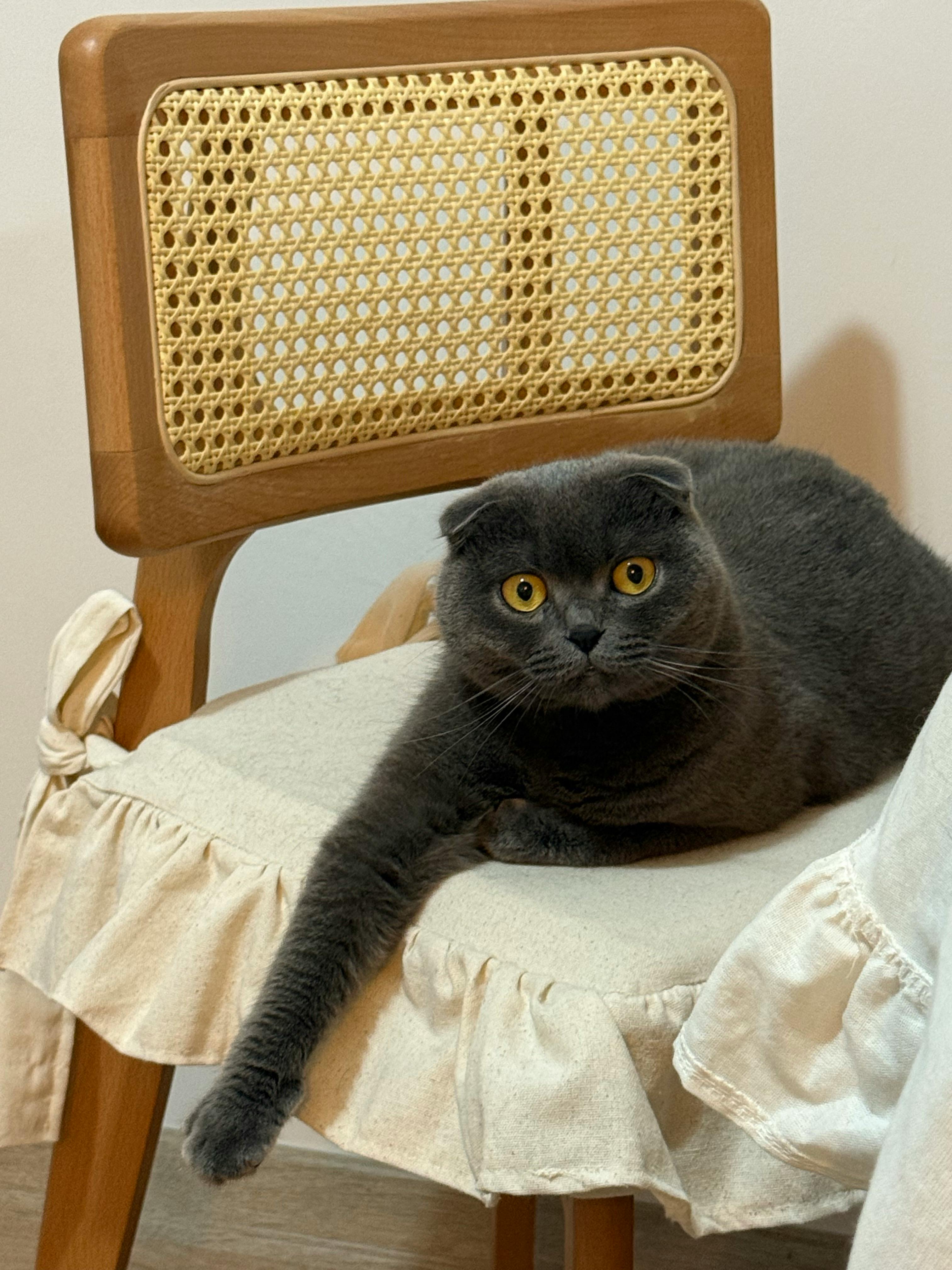 Cute+Latina+Gyatt Photos, Download The BEST Free Cute+Latina+Gyatt ...