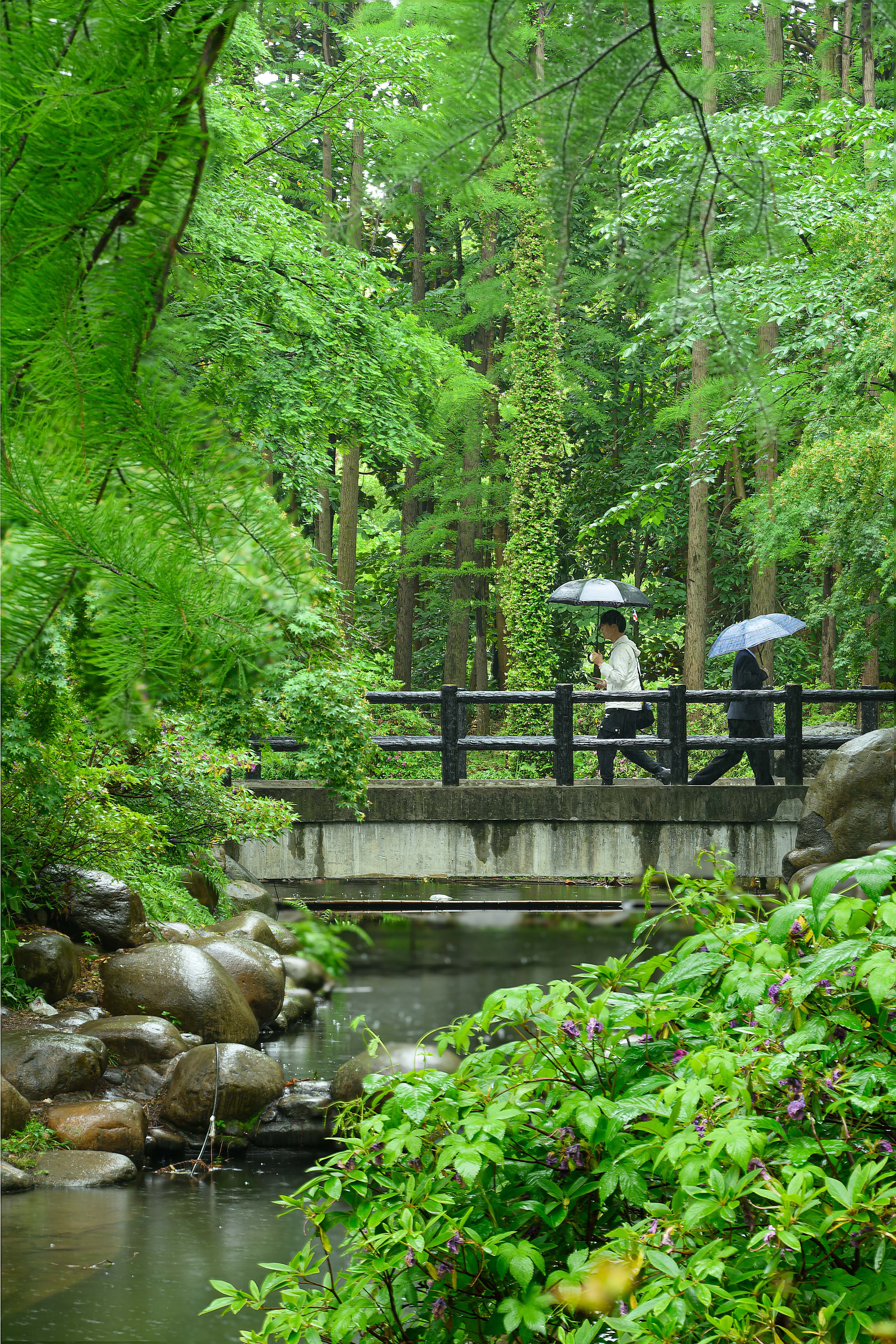 Happy+Rainy+Friday+Images Photos, Download The BEST Free Happy+Rainy ...