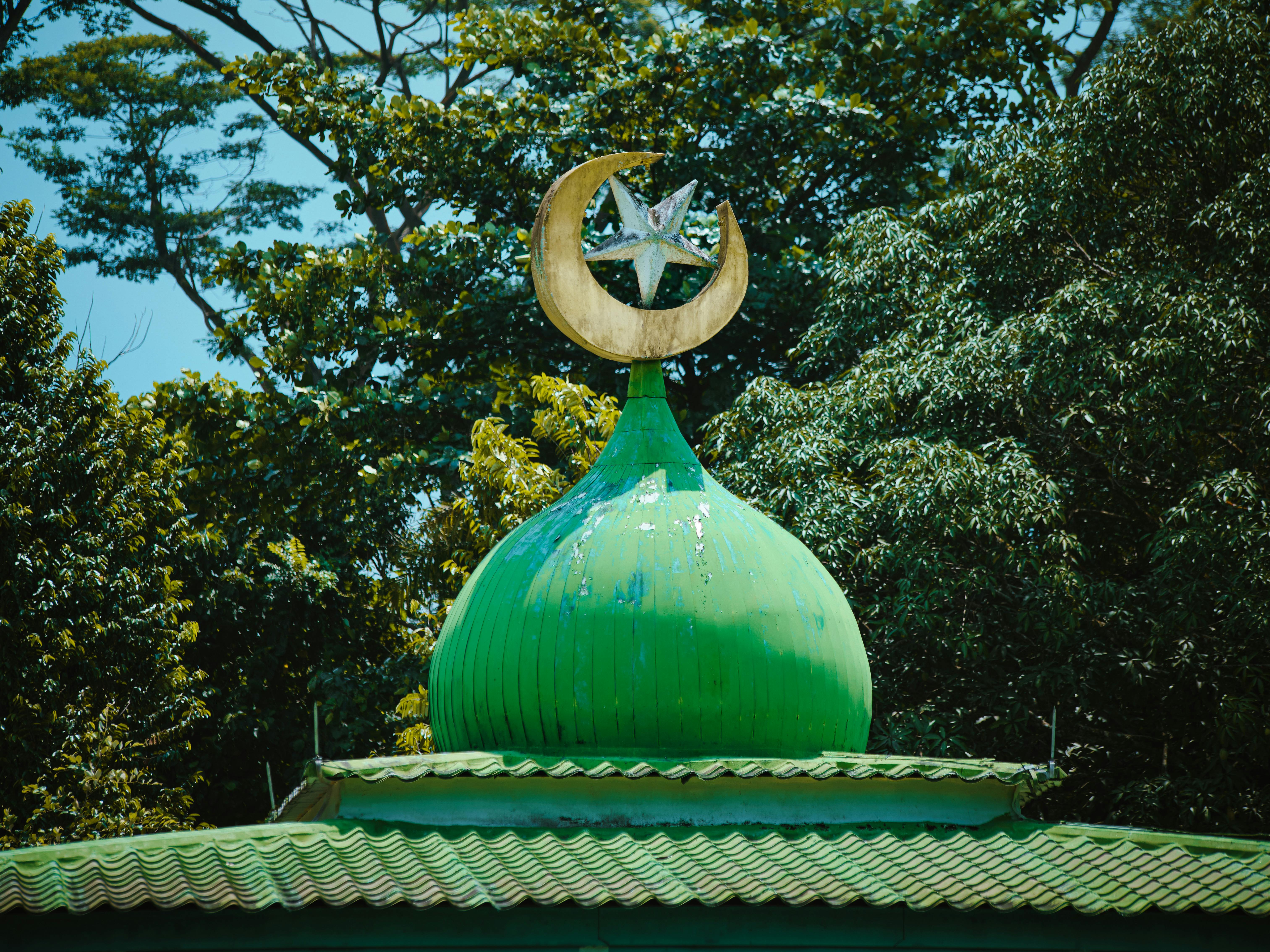 We+Are+Little+Stars+Collection Photos, Download The BEST Free We+Are ...